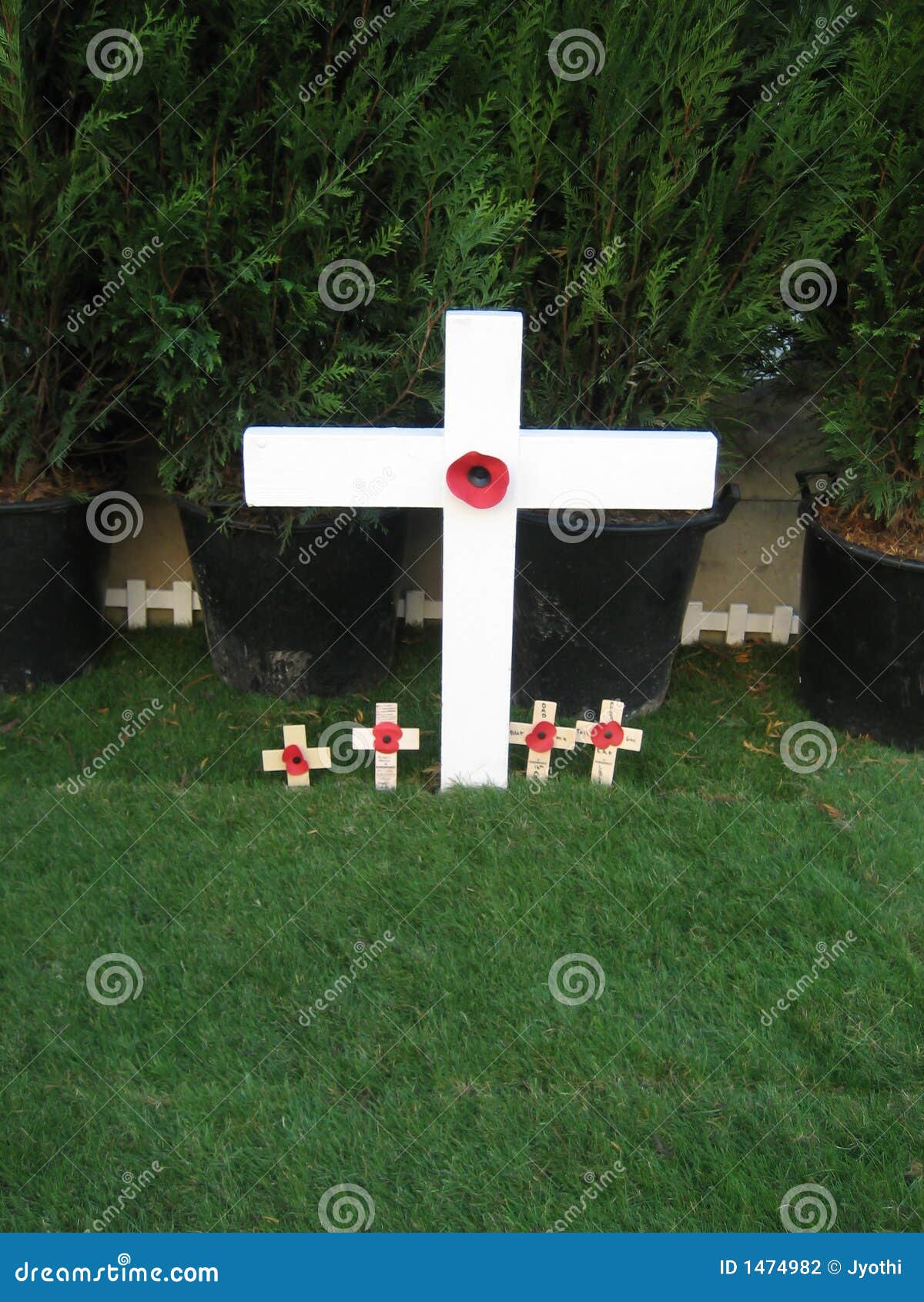 Poppy Cross, Remembrance Day Display Editorial Image | CartoonDealer ...