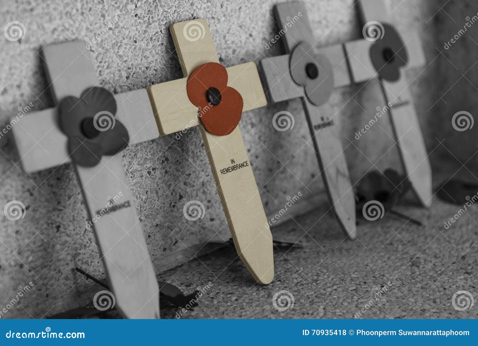 Poppy Cross for Remembrance Day Stock Photo - Image of wooden, veteran ...