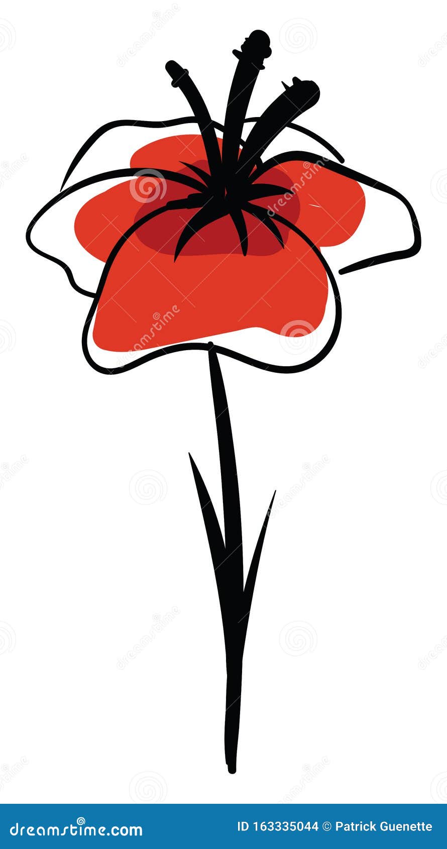 Poppy Drawing, Illustration, Vector Stock Illustration - Illustration ...
