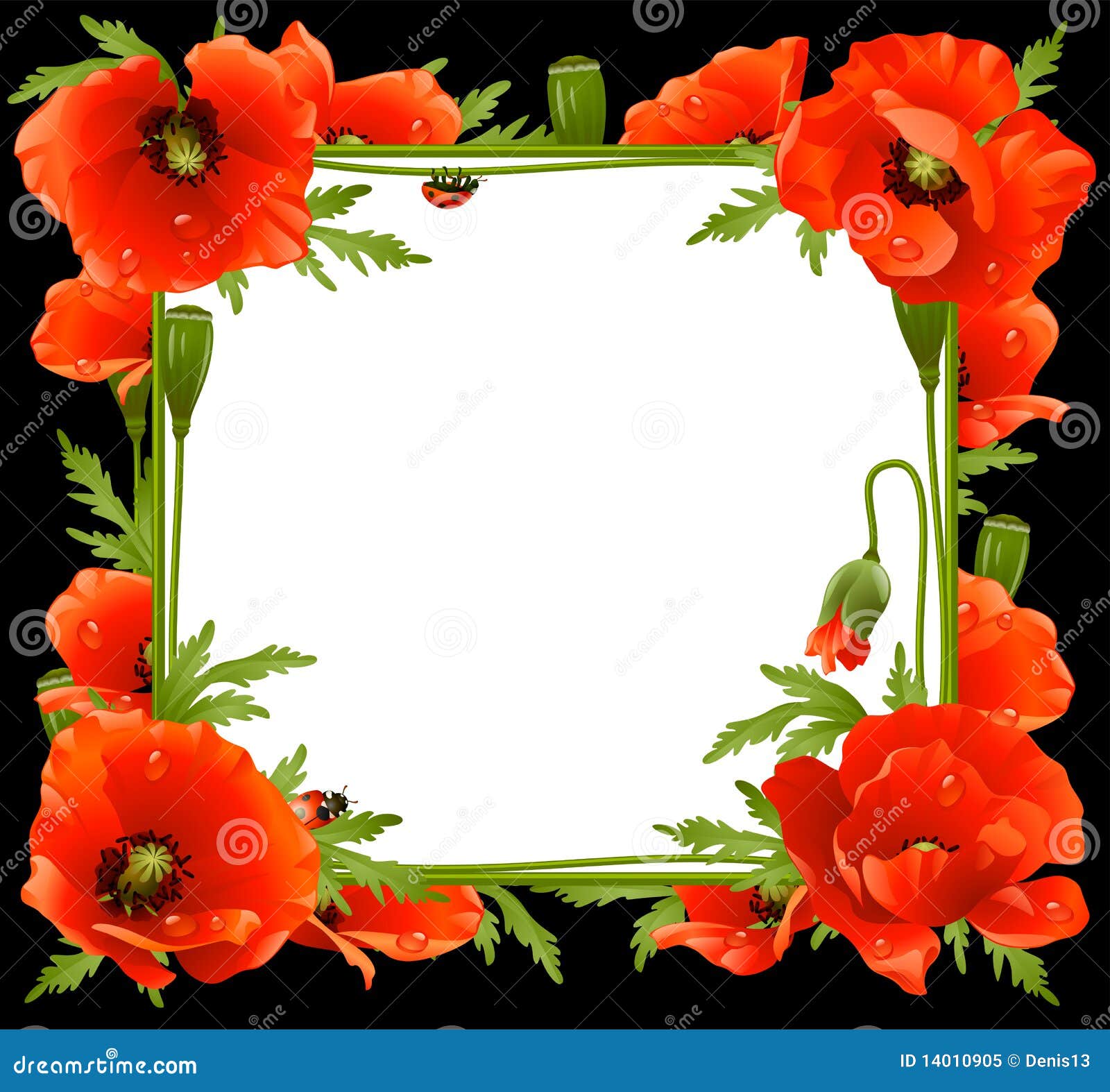 Poppy Floral Frame stock vector. Illustration of blossom - 14010905