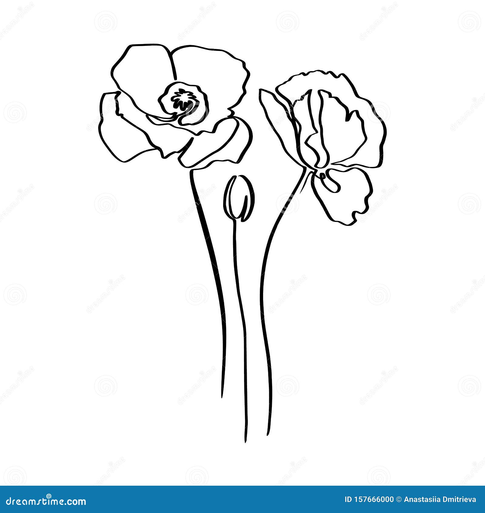 Poppy Flower Continuous Line Drawing Vector Abstract Plant In A Trendy