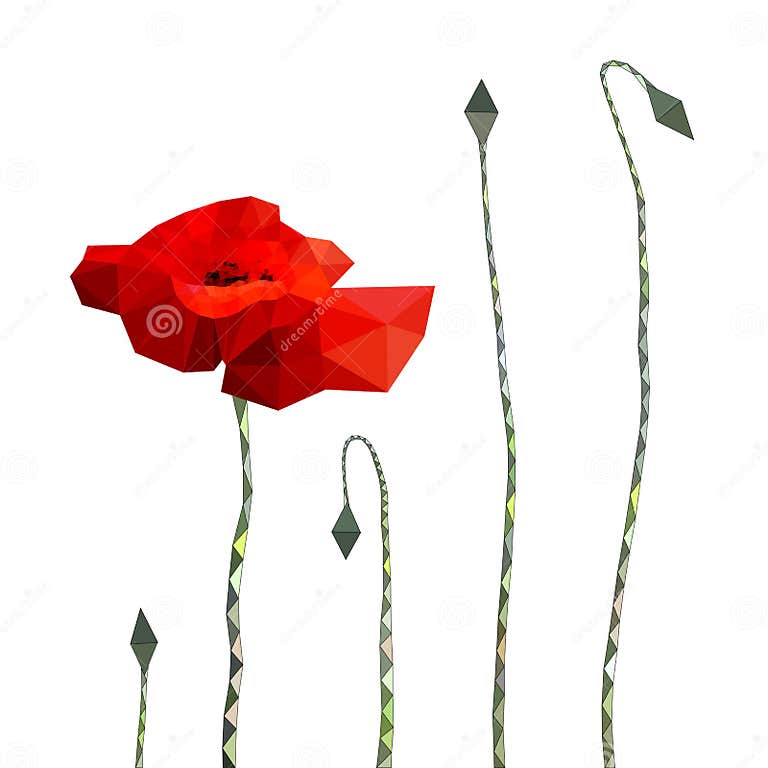Poppy Flower in the Shape of Triangles. Stock Vector - Illustration of ...