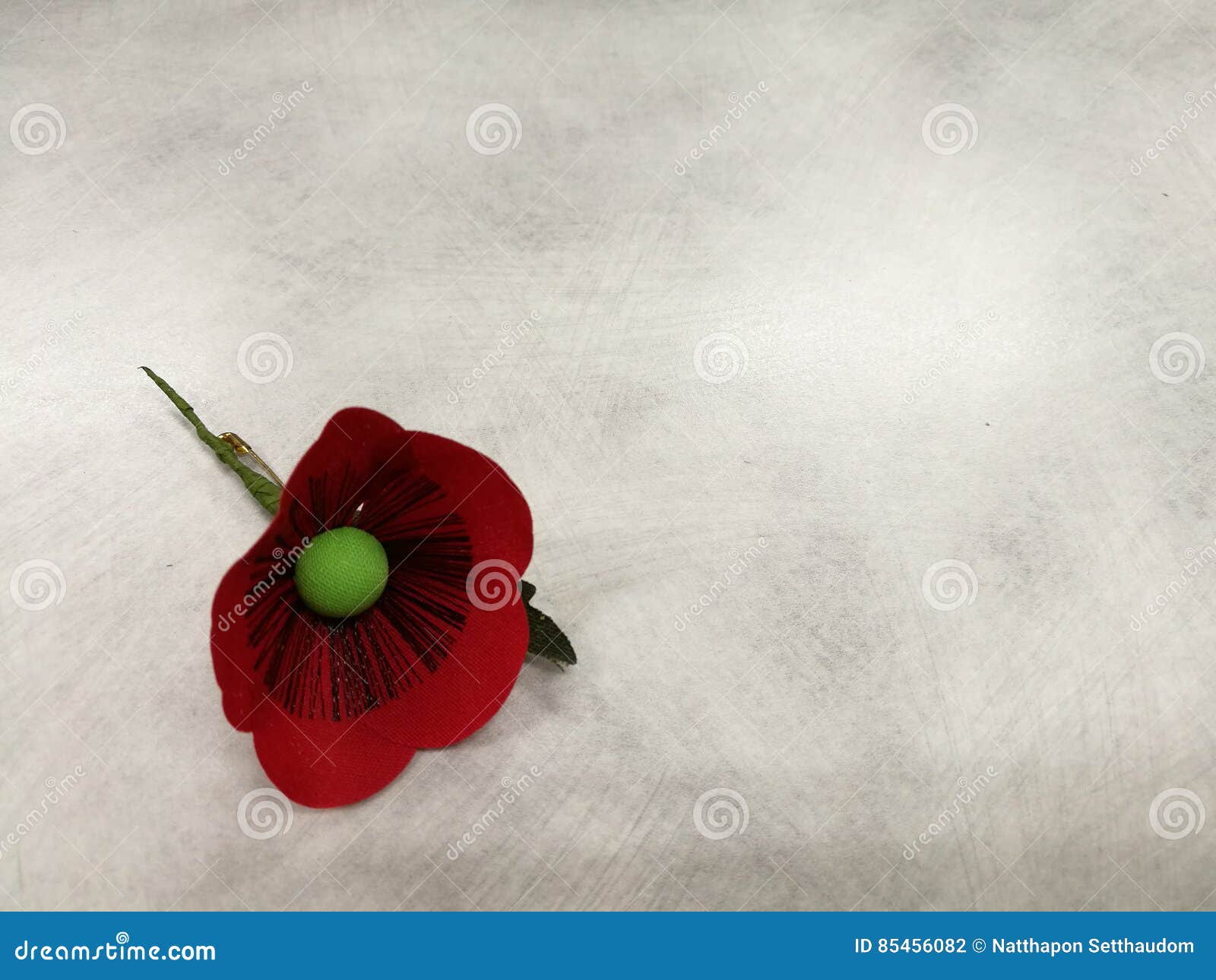 Poppy Flower on table stock photo. Image of flower, solder - 85456082