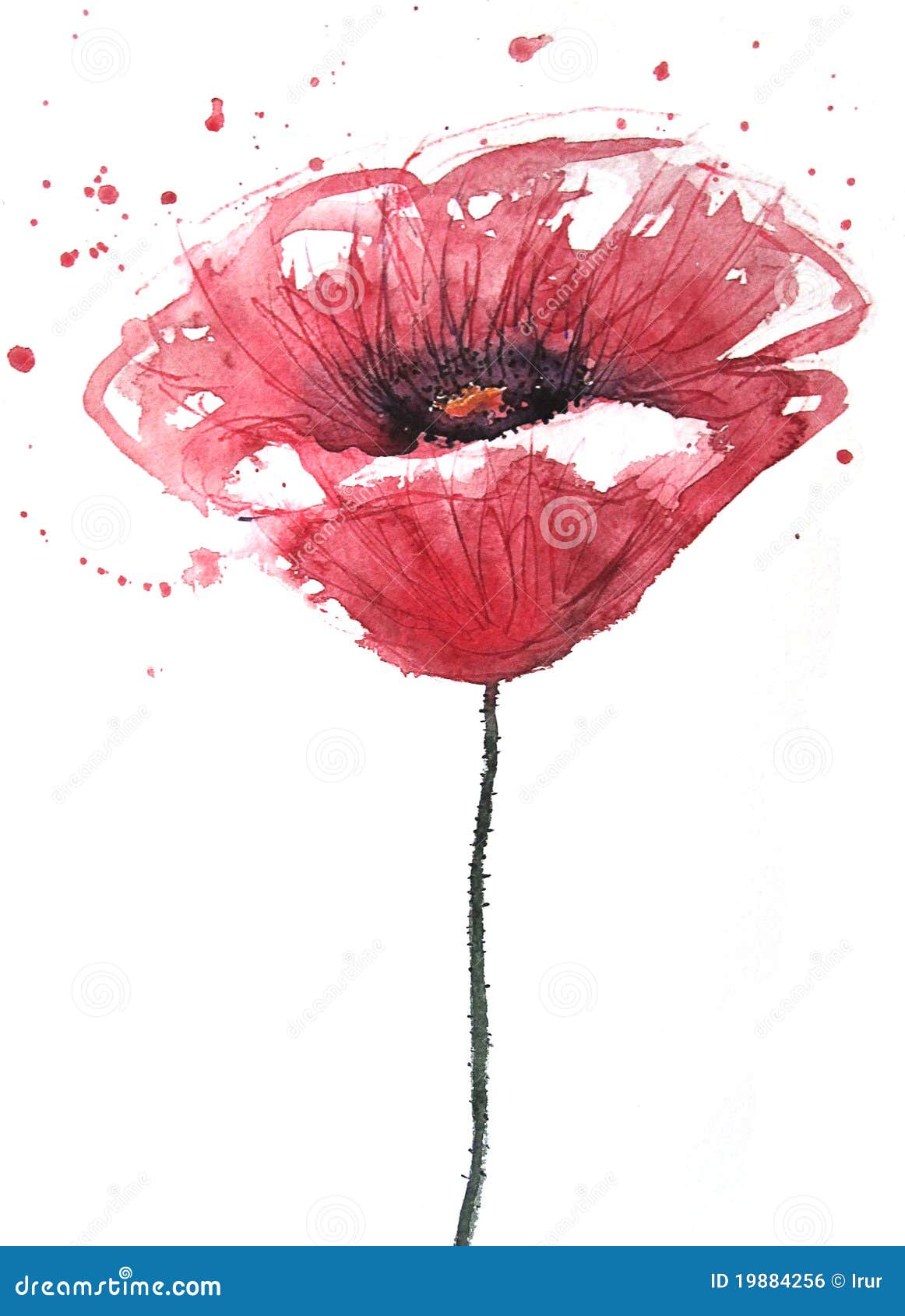 Poppy flower, watercolor stock illustration. Illustration of colorful ...