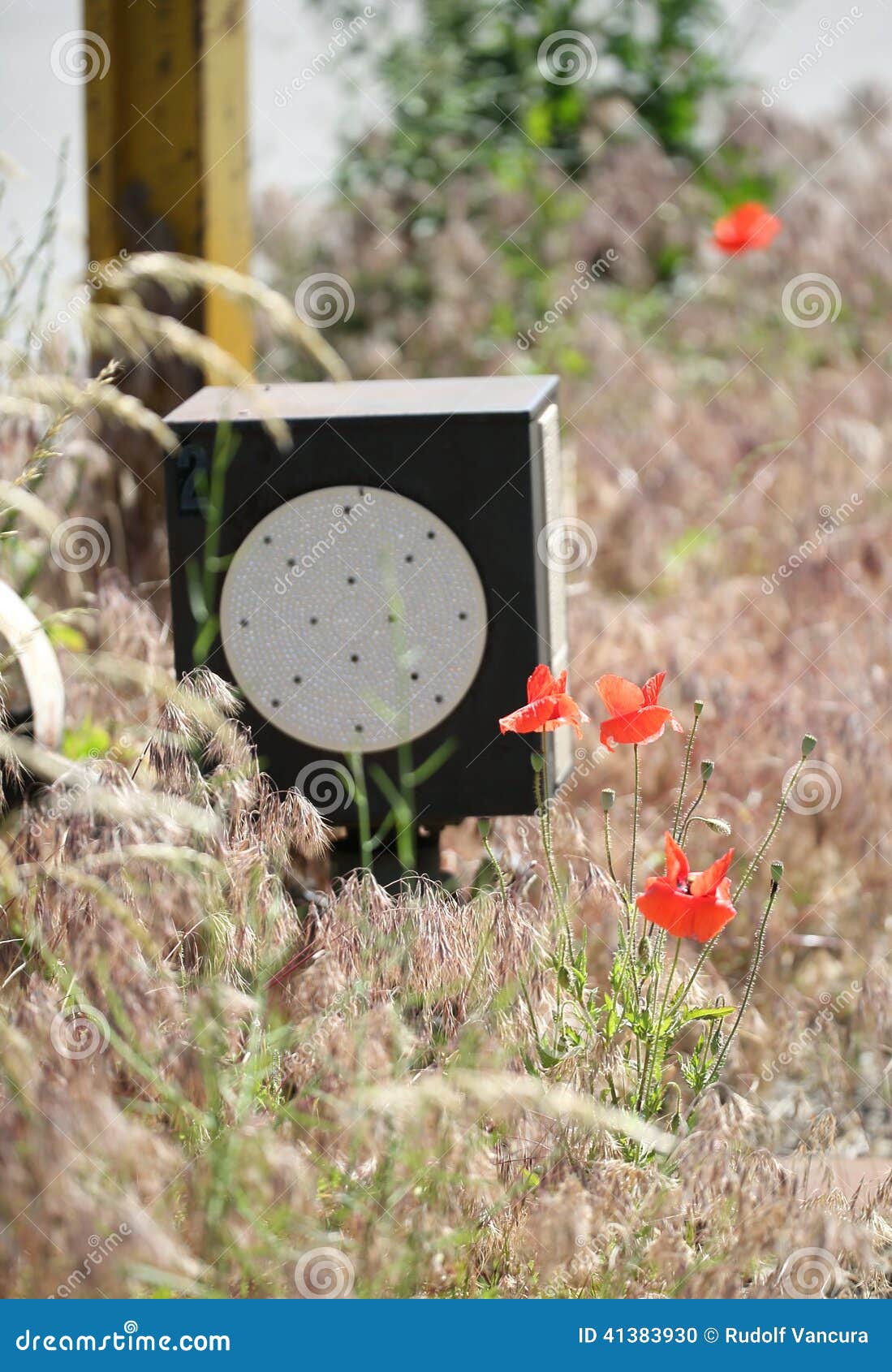 Poppy Flowers Along Railway Tracks Stock Photo - Image of tracks ...