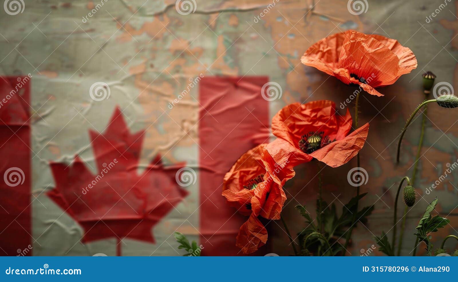 Poppy Flowers with Canada Flag, Remembrance Day Concept Stock ...