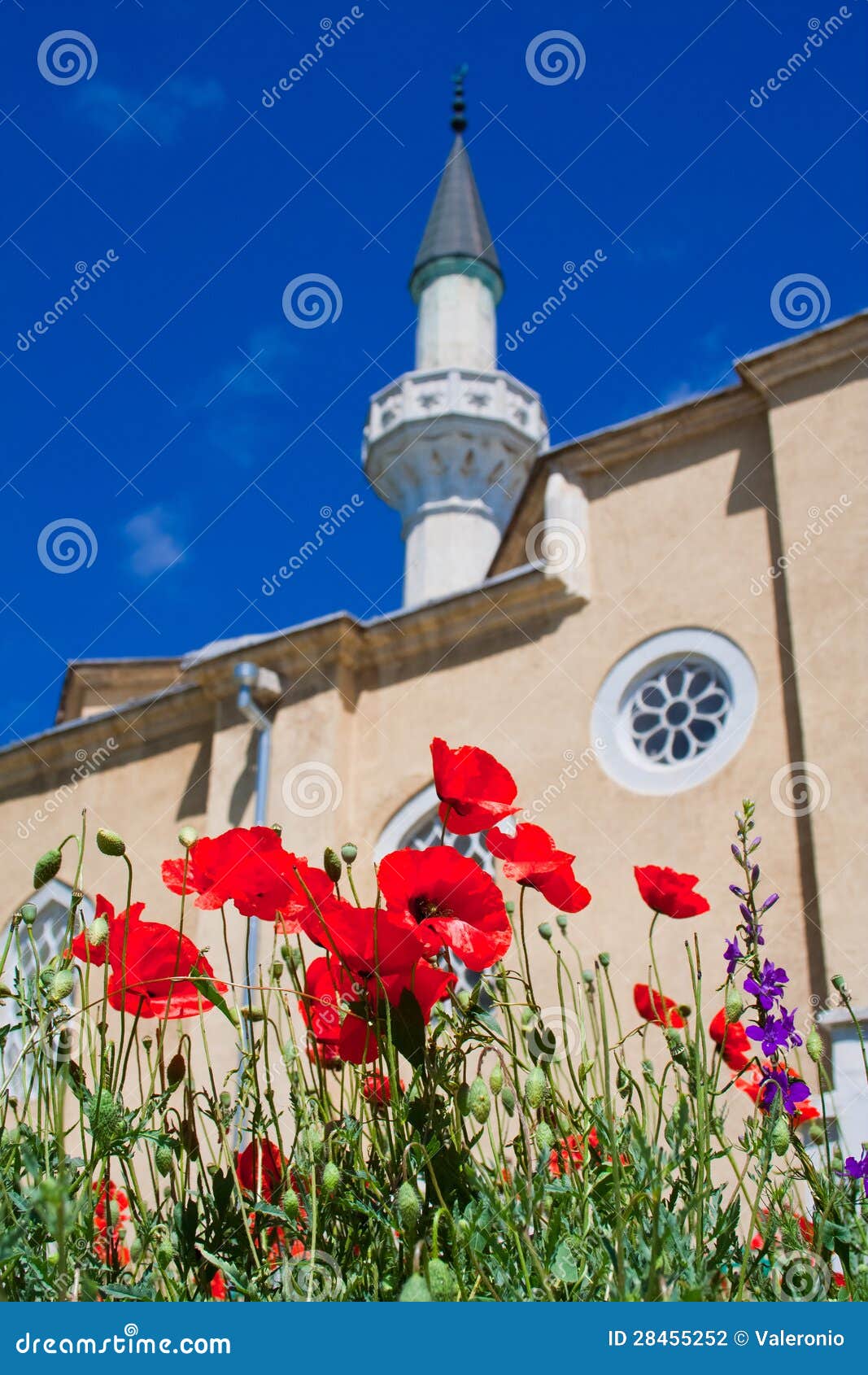 Poppy Flowers and the Mosque Minaret Stock Photo - Image of ...