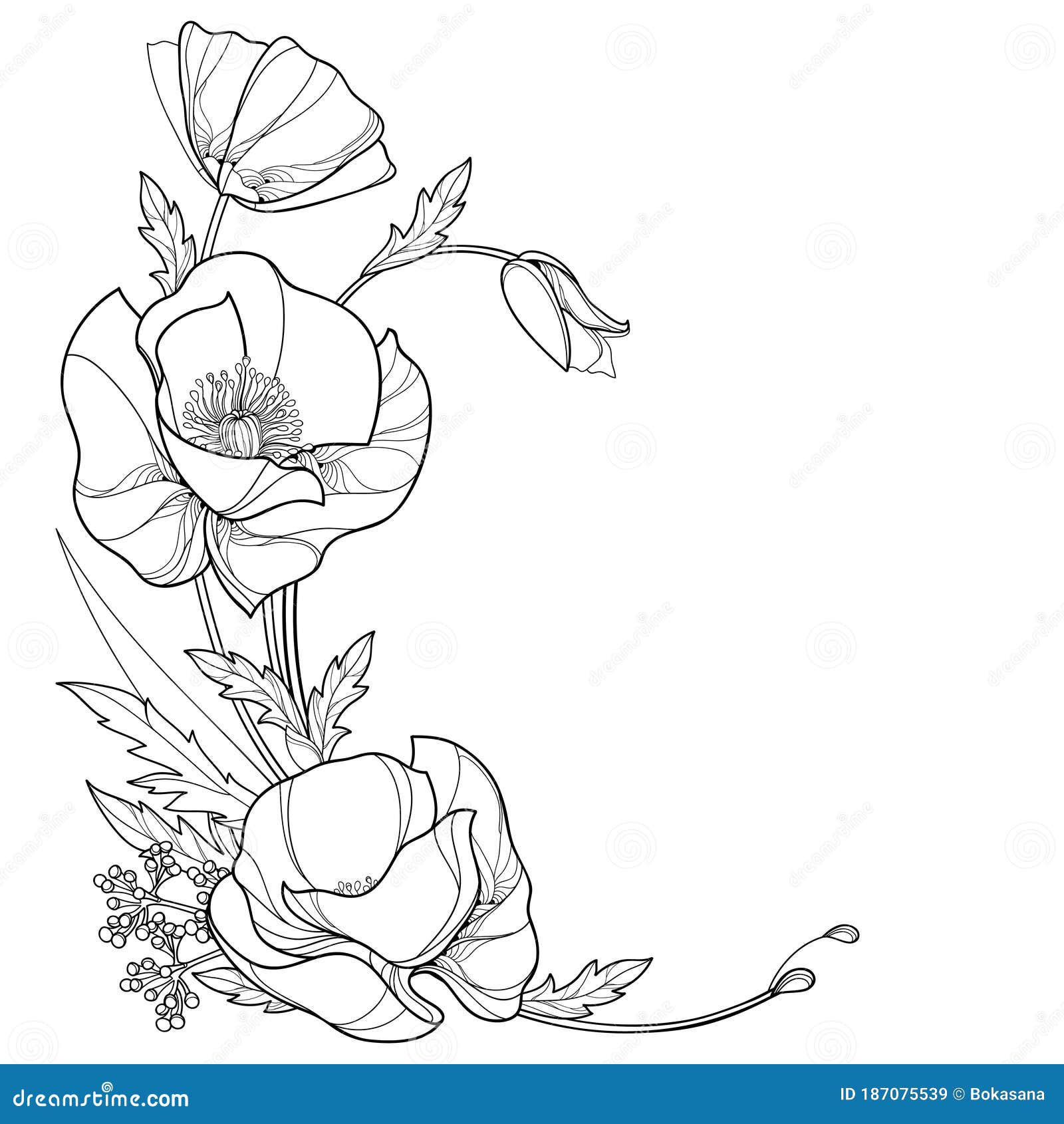 Vector Corner Bouquet with Outline Open Poppy Flower, Bud and Leaves in ...