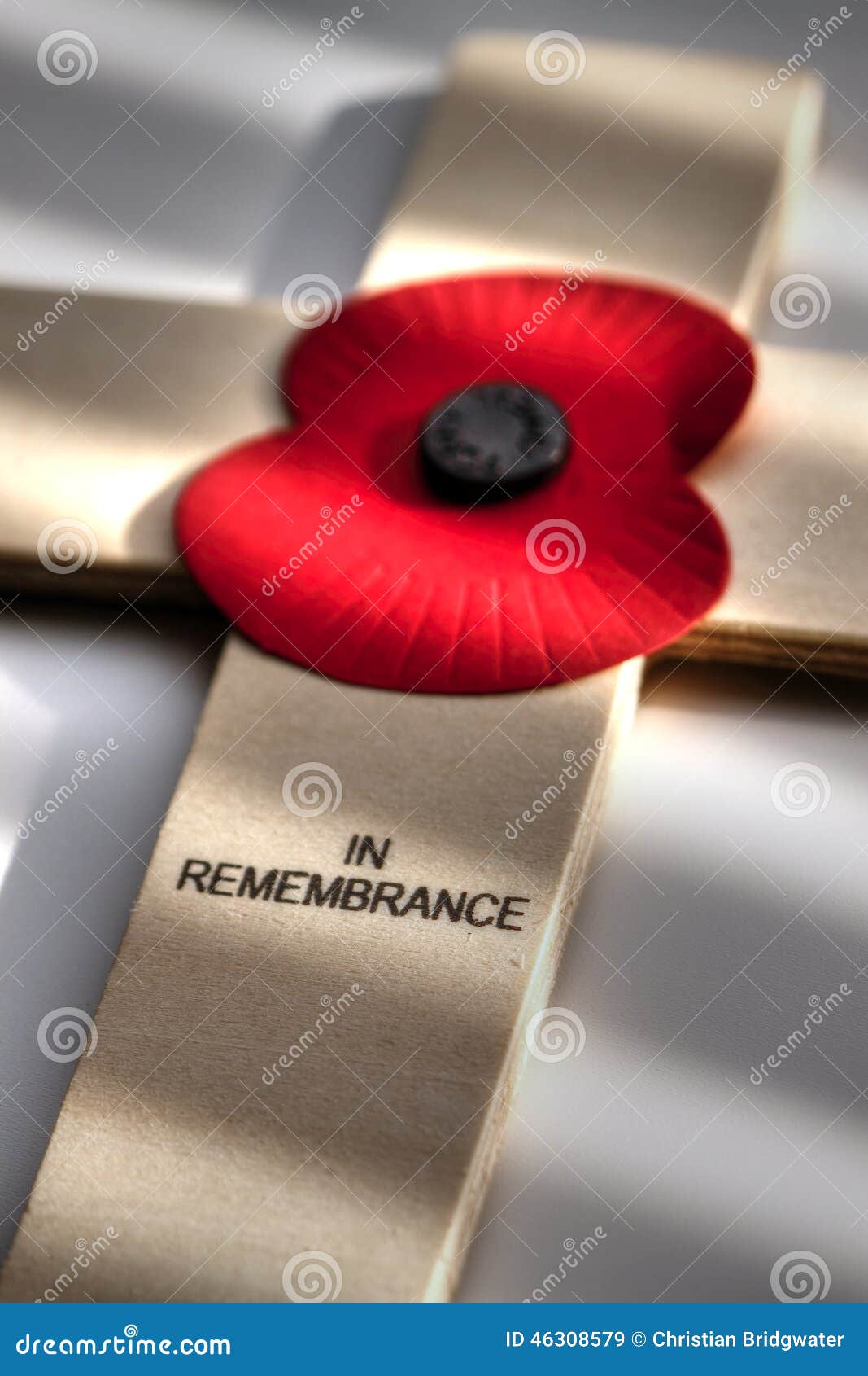 Poppy Remembrance Day C image stock. Image du armée, monde - 46308579