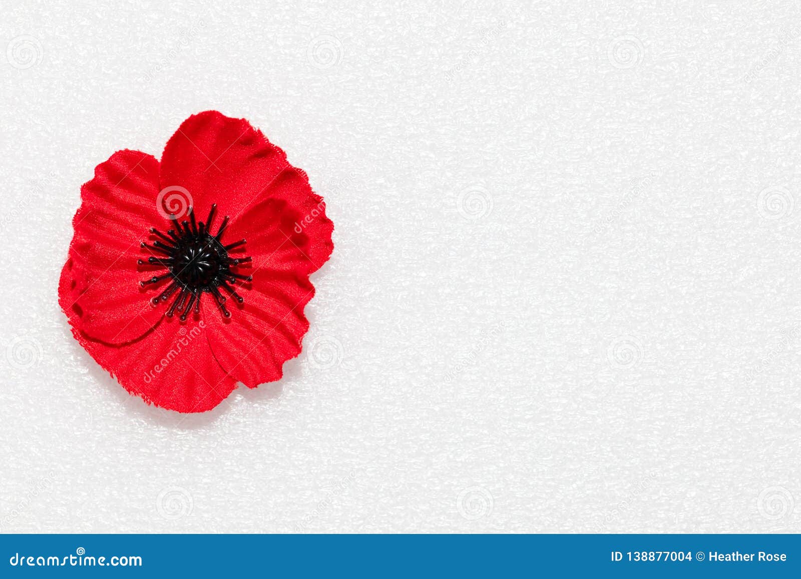 Poppy, Representing Anzac or Remembrance Day, on a Shiny Background ...