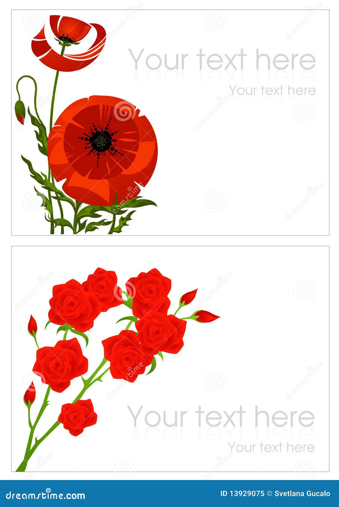 Poppy and Rose Greeting Cards Stock Vector - Illustration of beauty ...