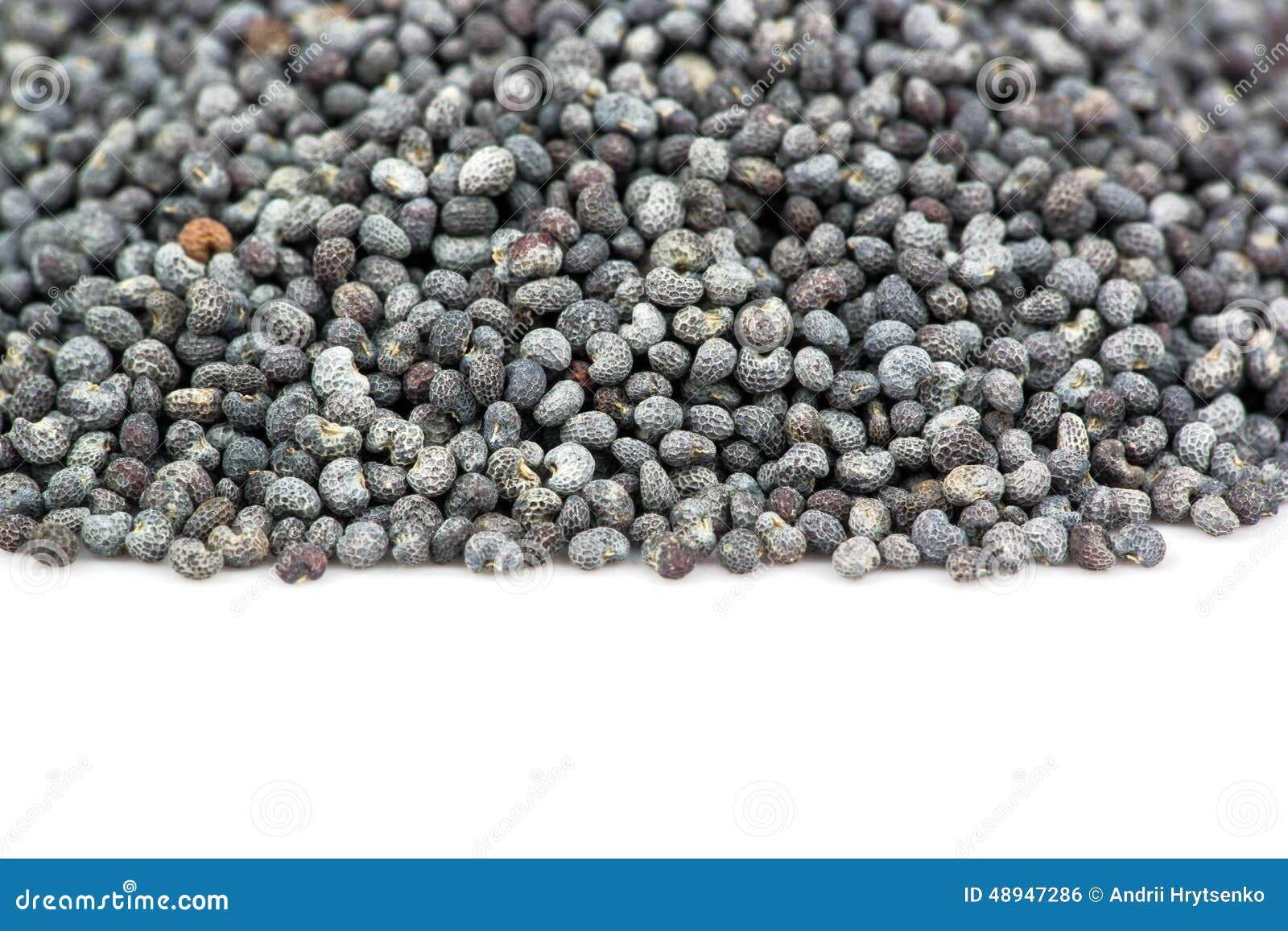 Poppy stock photo. Image of herb, heap, food, bakery - 48947286