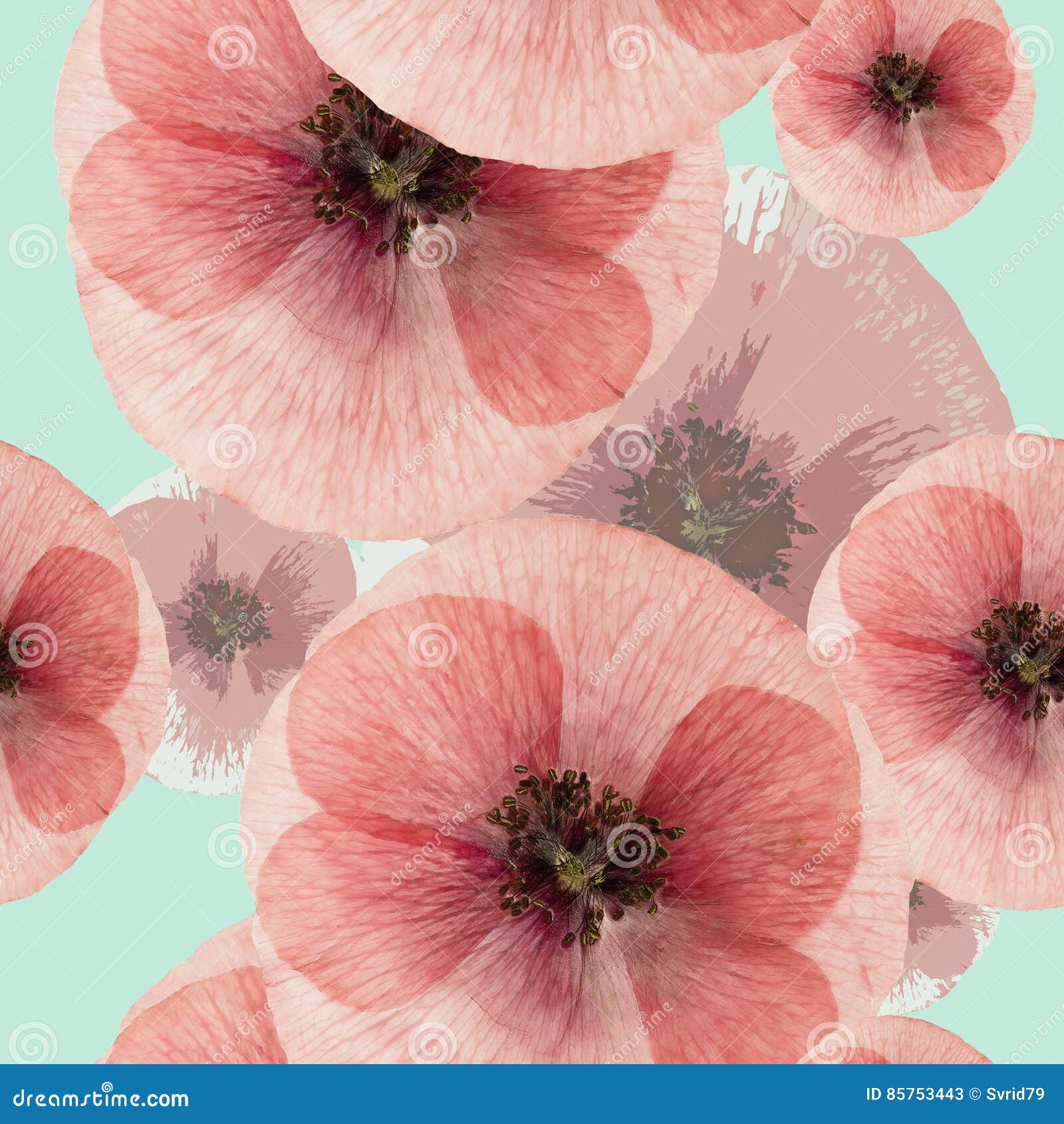 Poppy. Seamless Pattern Texture of Pressed Dry Flowers. Stock Image ...