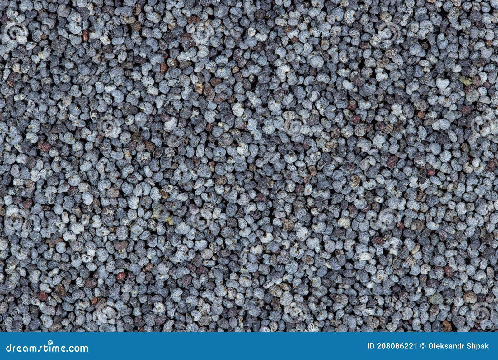 Poppy Seed Background Texture. Background of Raw Poppy Seeds Stock ...