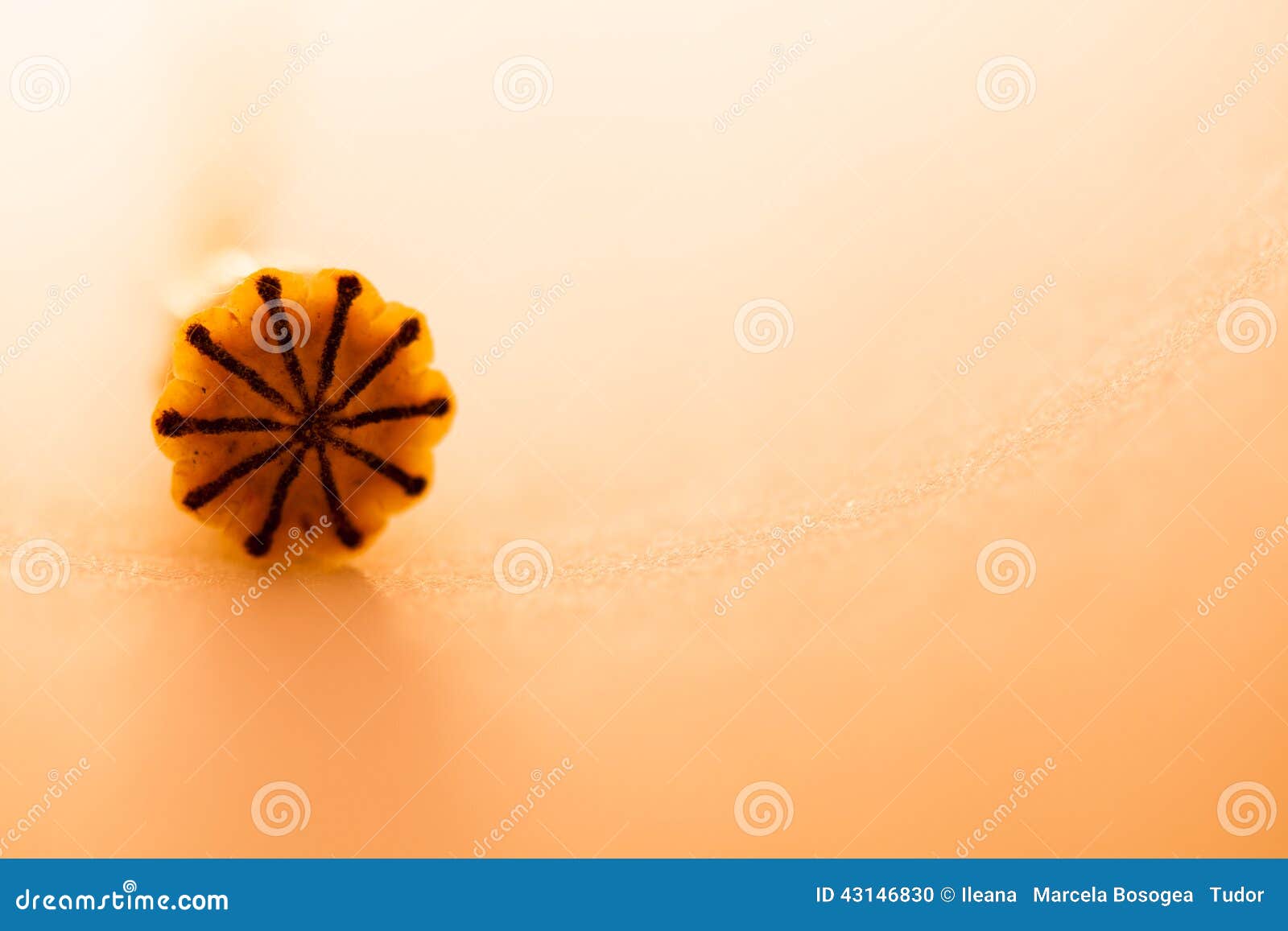 Poppy Seed with Beige Background Stock Photo - Image of poppy, opium ...