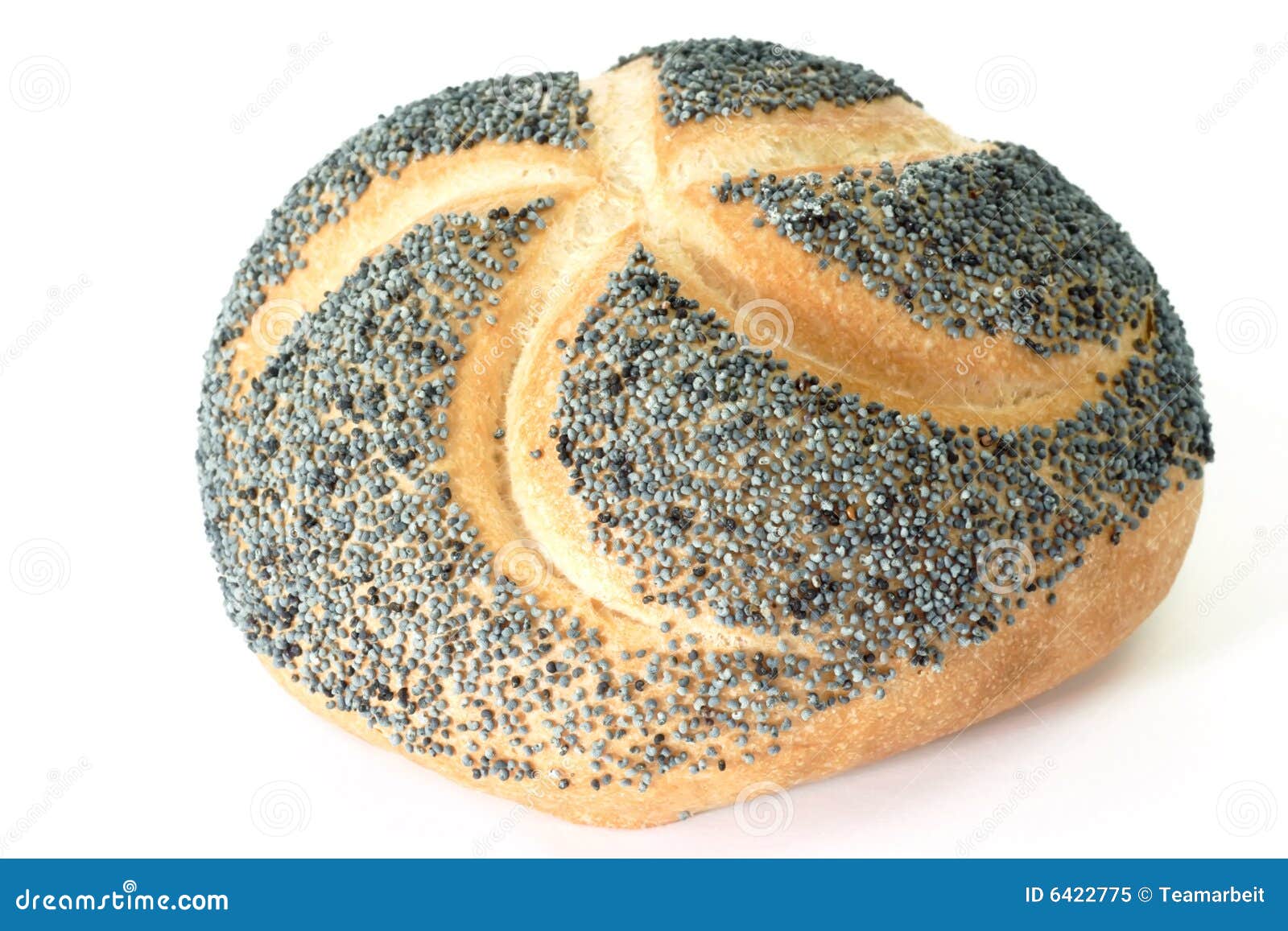 Poppy Seed Bun stock image. Image of white, plant, gold - 6422775