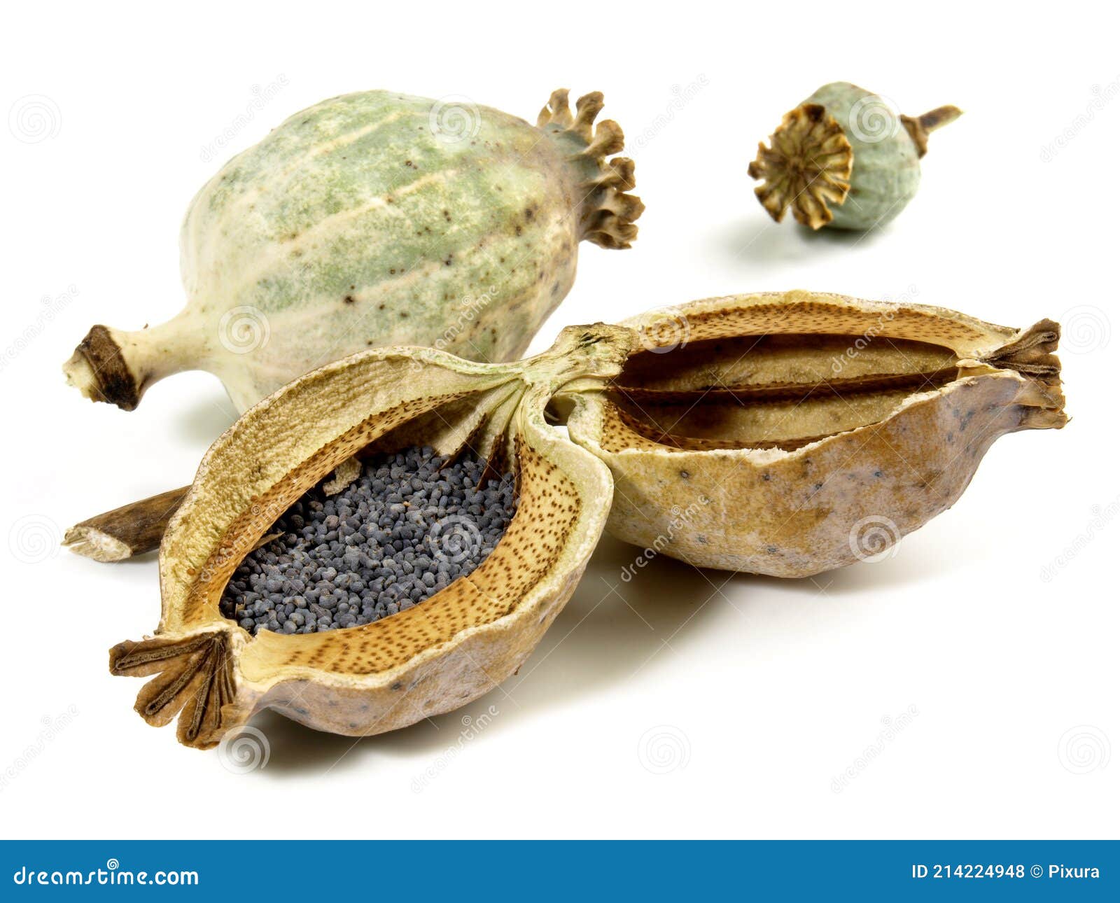 Poppy Seed Capsules with Poppy Seeds on White Background - Isolated ...