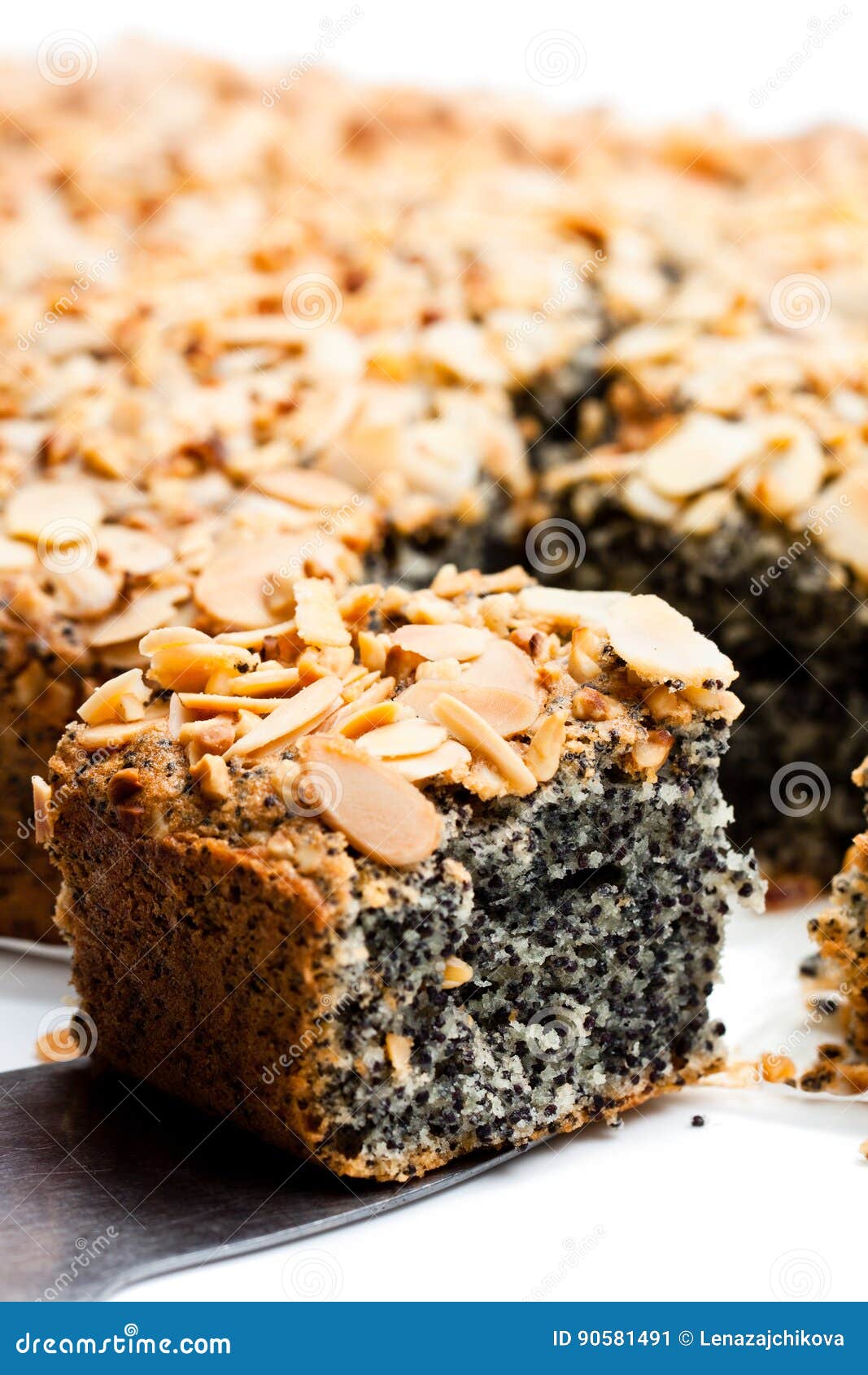 Poppy Seed Pie Freshly Baked Isolated on White Stock Image - Image of ...