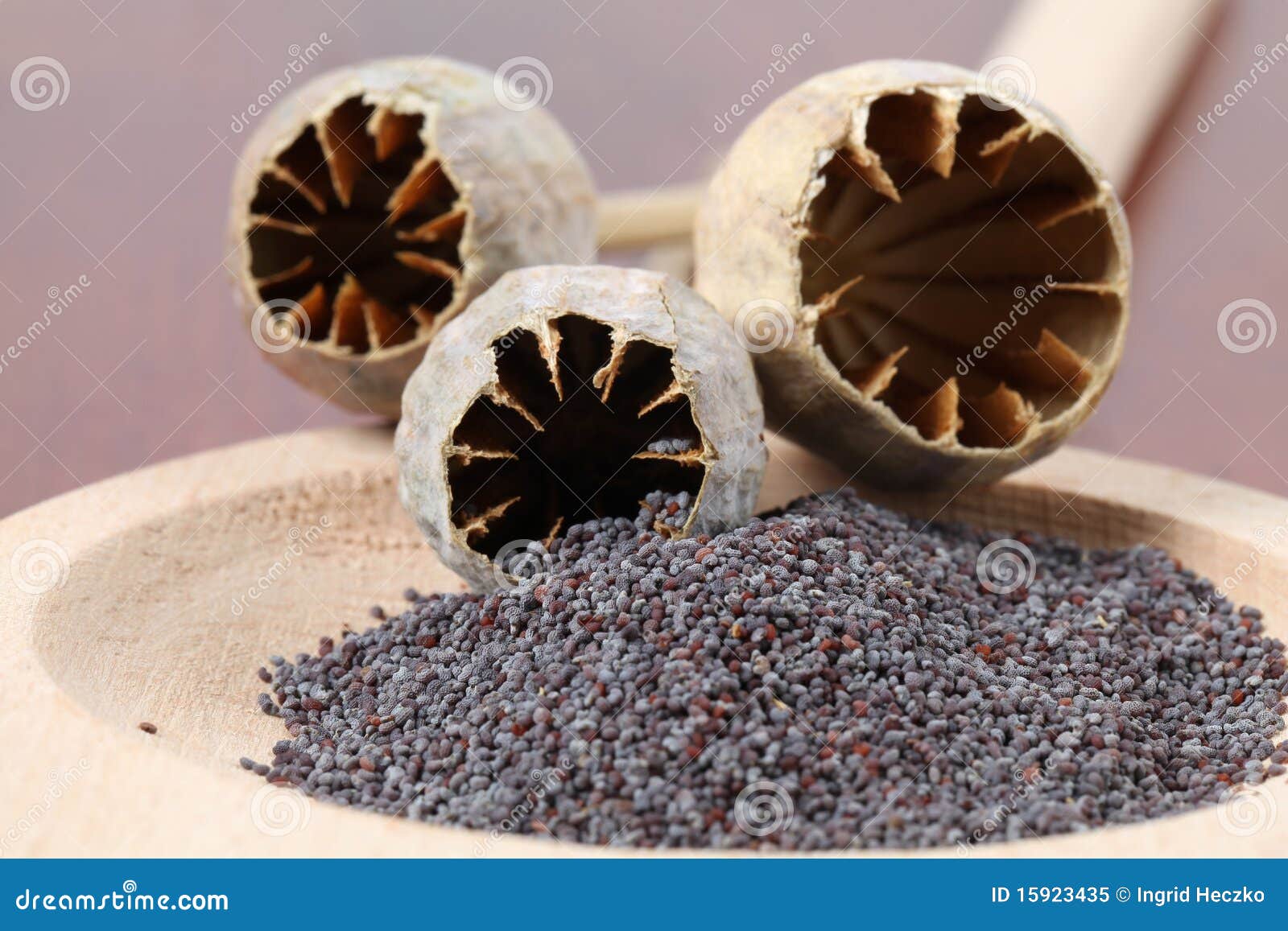 Poppy seeds stock image. Image of ingredient, food, close - 15923435