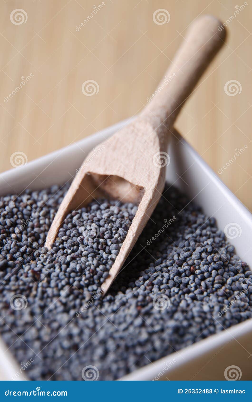 Poppy seeds stock photo. Image of aromatic, organic, macro - 26352488