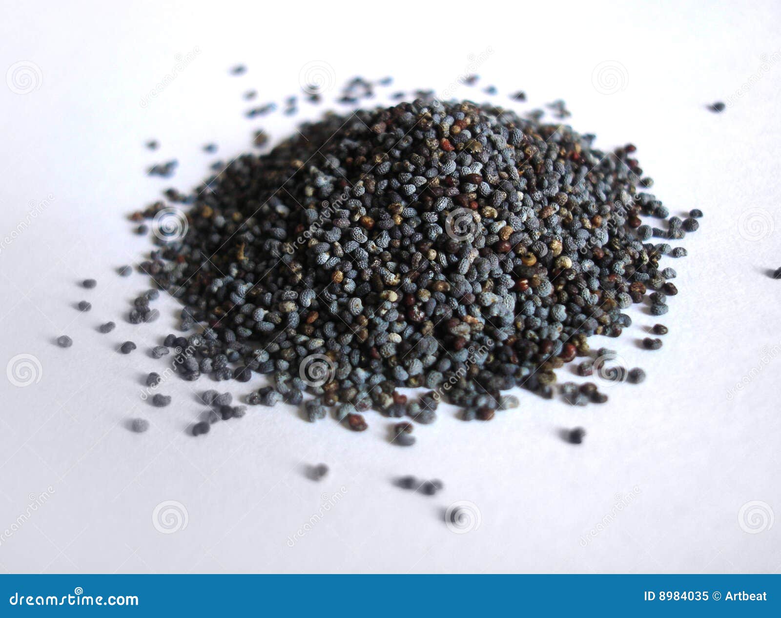 Poppy Seeds stock image. Image of baking, seeds, plant - 8984035