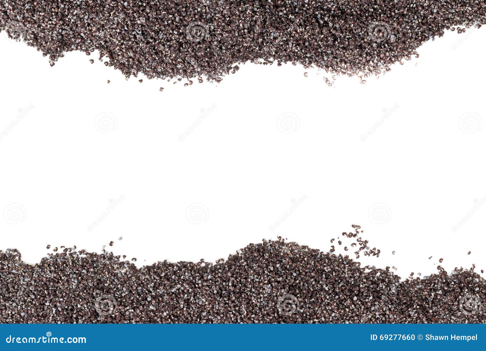 Poppy Seeds Border Top View Stock Photo - Image of macro, group: 69277660