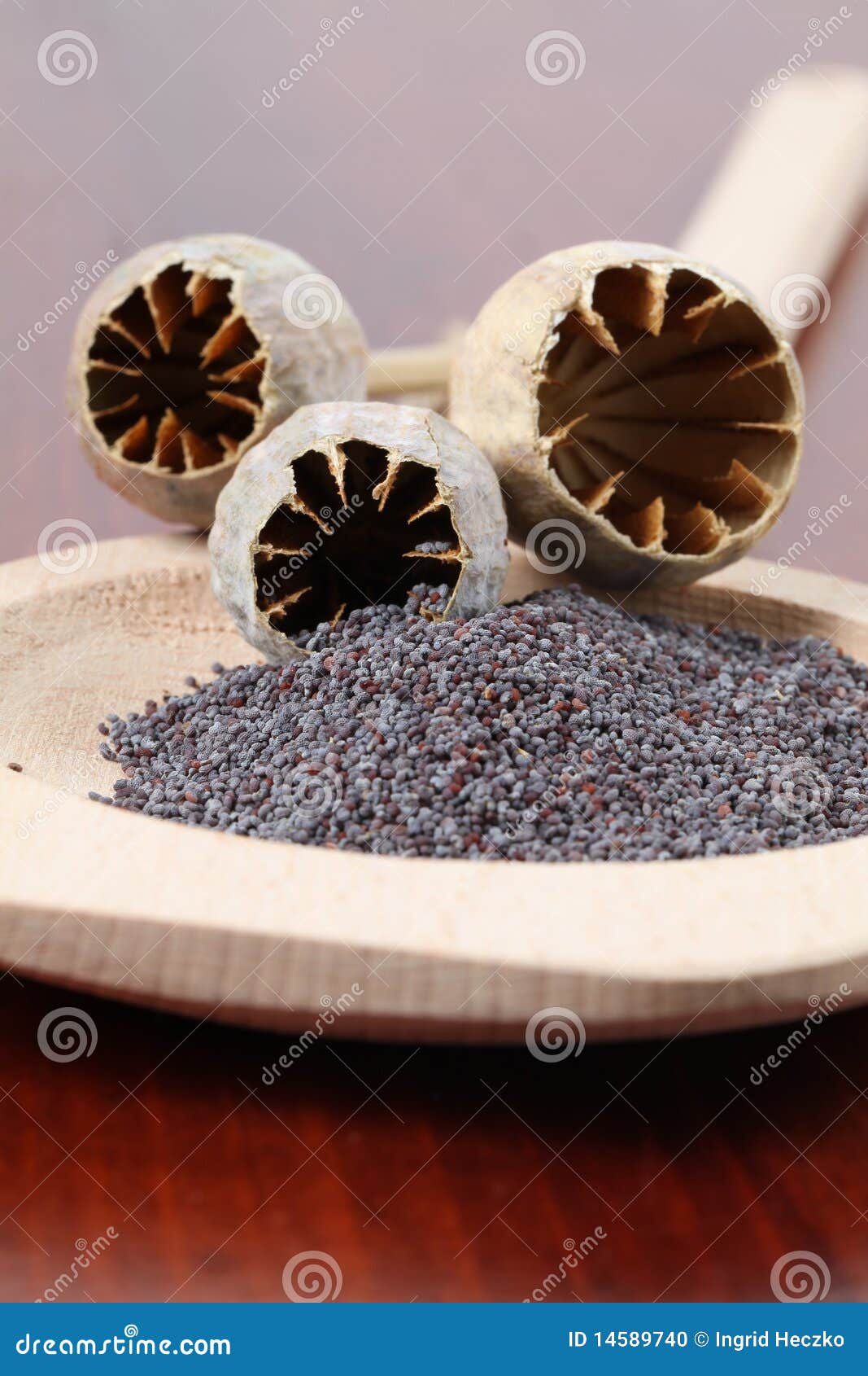 Poppy Seeds and Empty Poppyheads Stock Photo - Image of ingredient ...