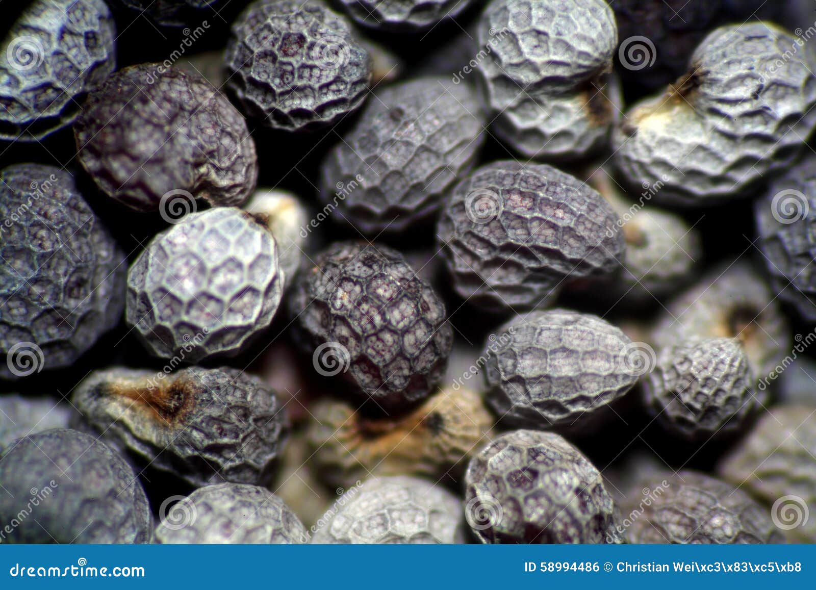 Poppy seeds stock photo. Image of farming, cake, healthy - 58994486