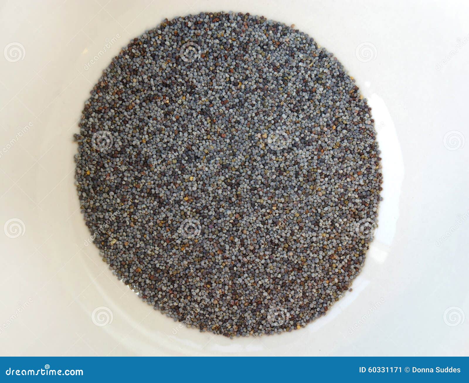 Poppy Seeds Texture Background Stock Image - Image of grain, closeup ...