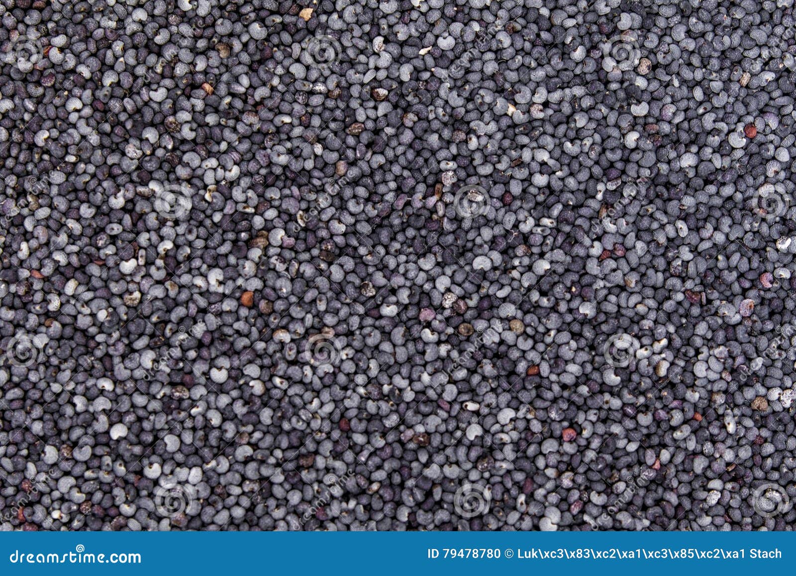 Poppy seeds stock photo. Image of space, nutrition, background - 79478780