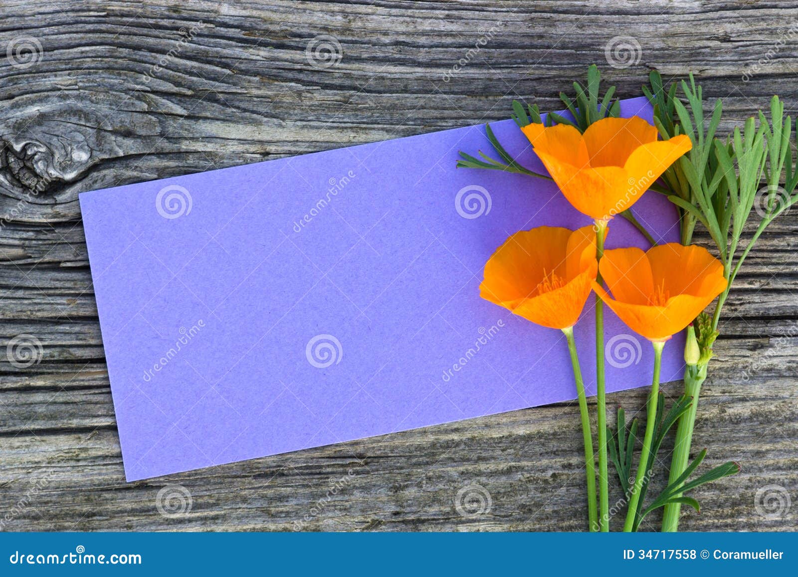 Violet SIM Card Pre-cut Mini, Micro, Nano Sizes And Royalty-Free Stock ...