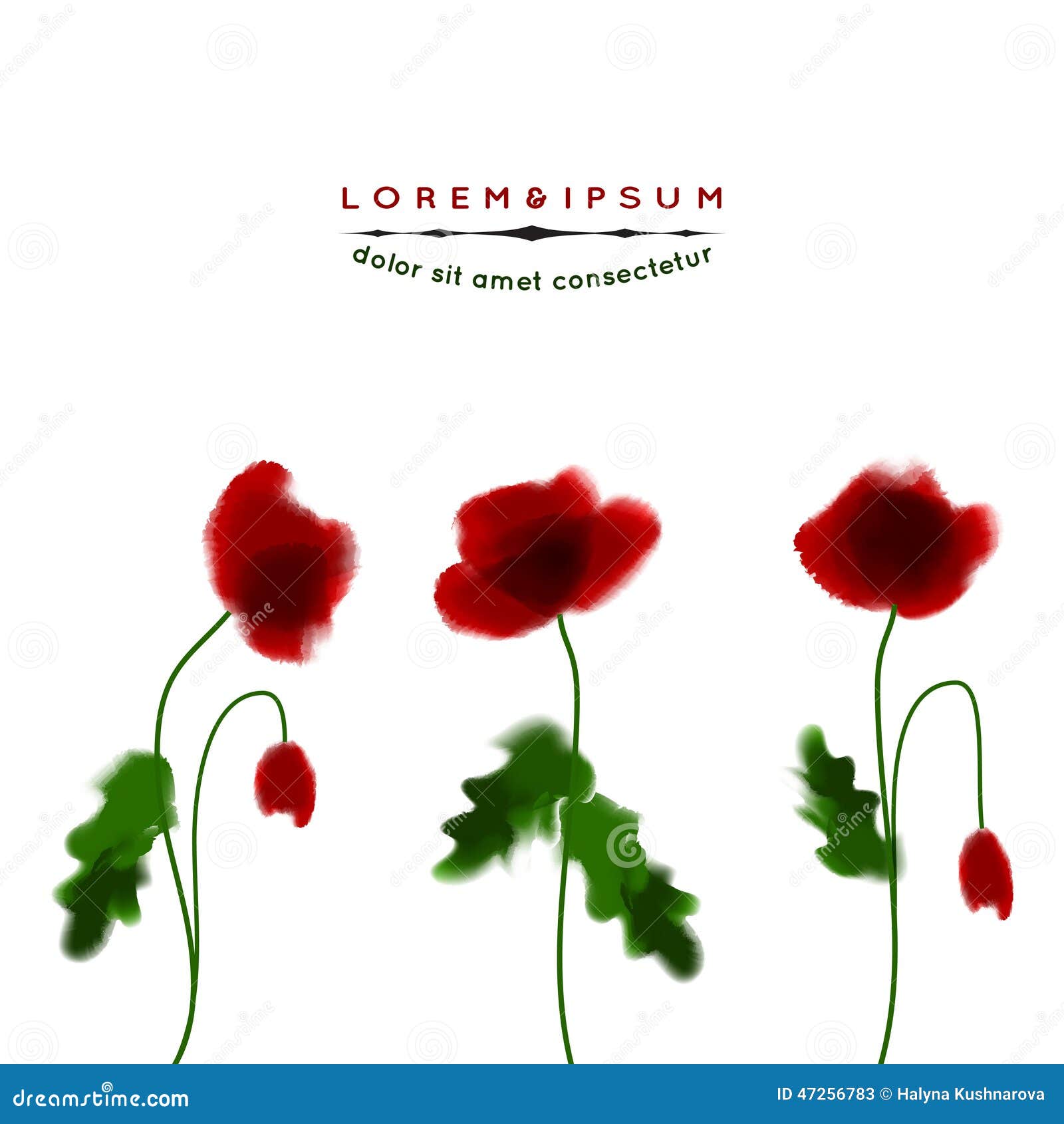 Poppy in Watercolor Style. Vector. Stock Vector - Illustration of ...