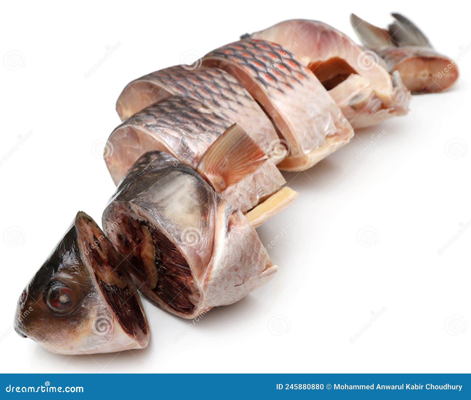 Popular Rohu Or Rohit Fish Of Indian Subcontinent Royalty-Free Stock ...
