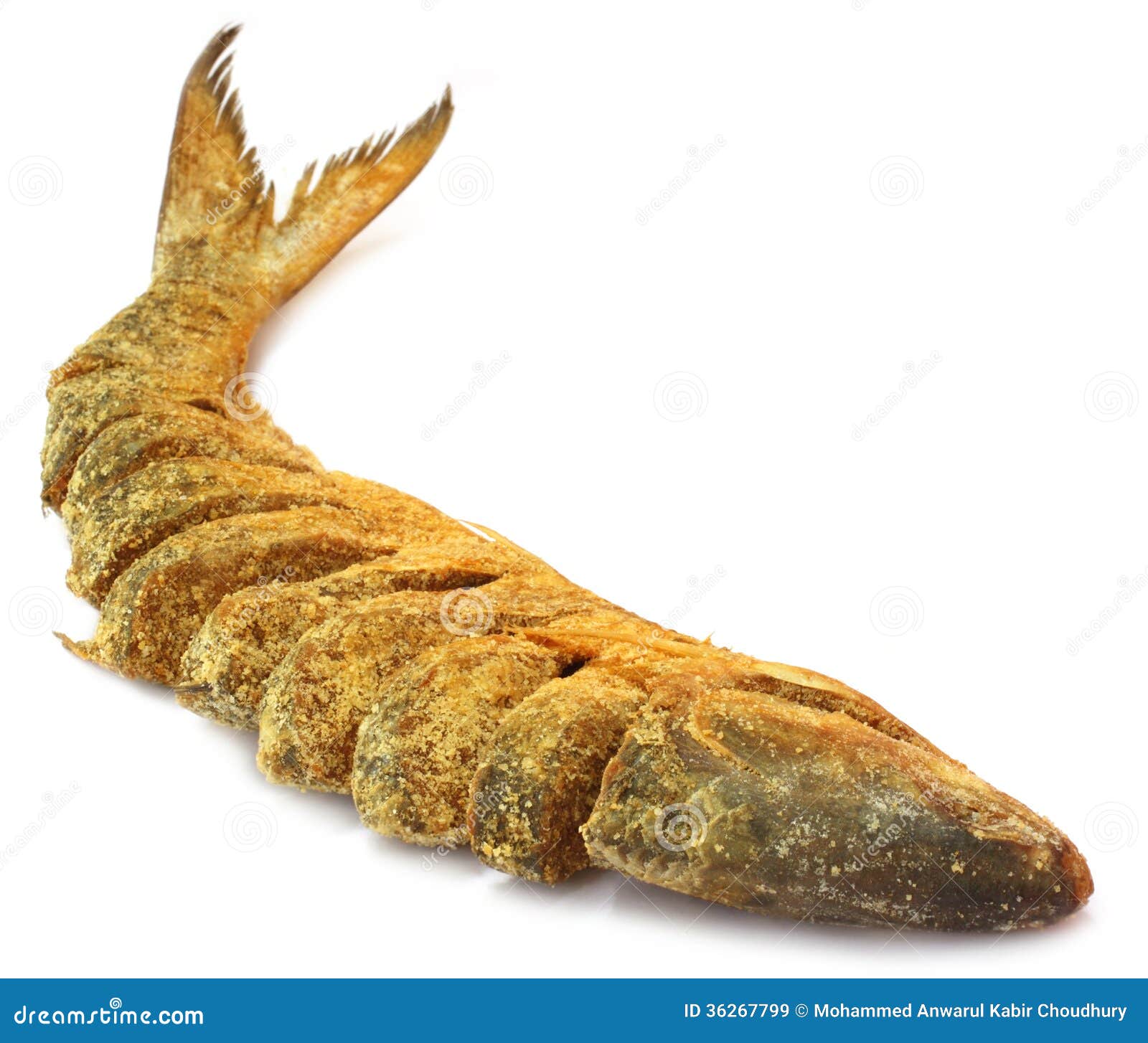Popular salted Ilish fish stock image. Image of auspicious - 36267799