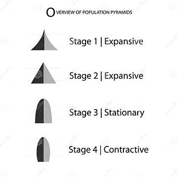 Different Types of Population Pyramids on White Background Stock Vector ...