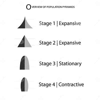 Different Types of Population Pyramids on White Background Stock Vector ...