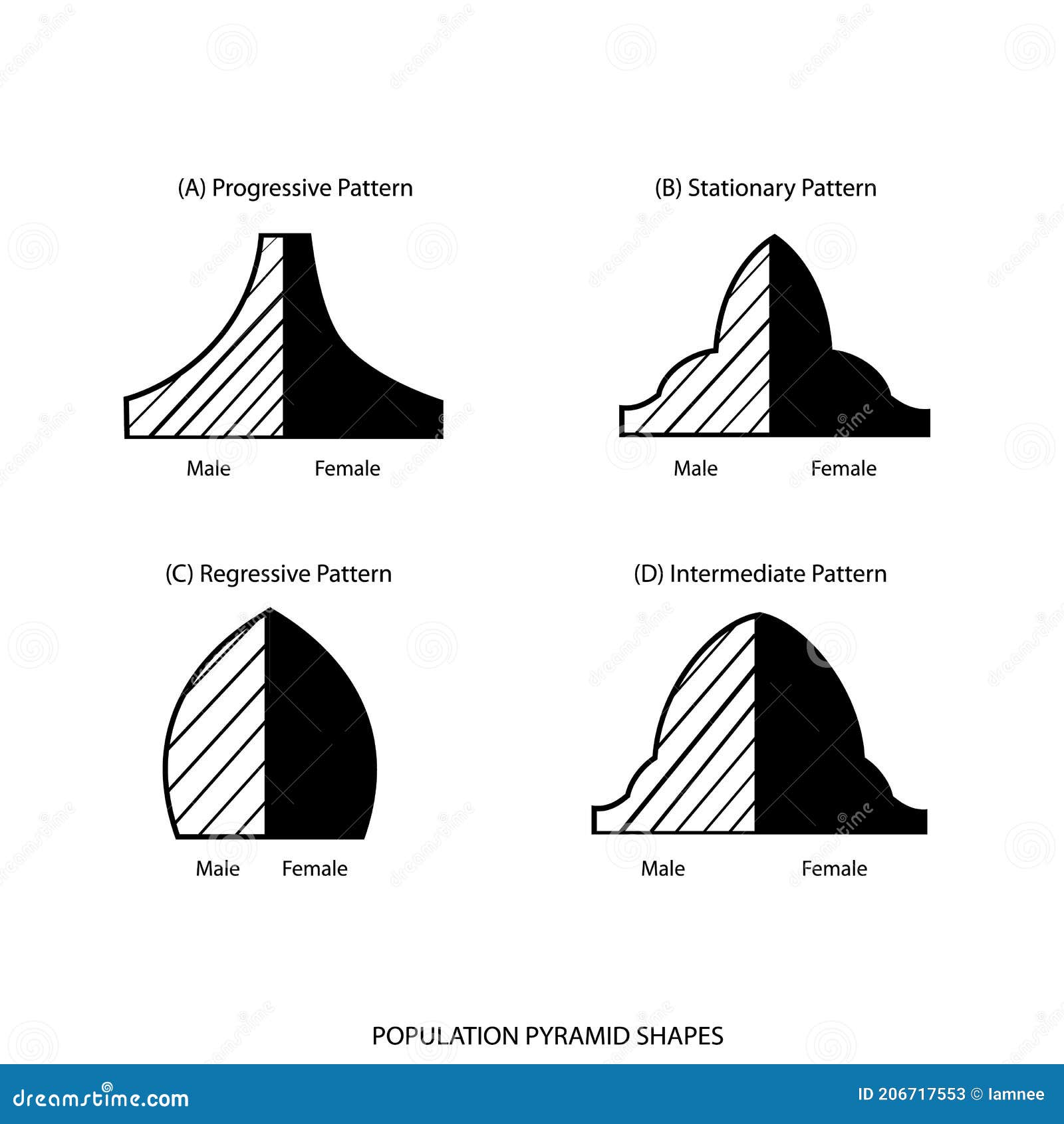 Four Types of Population Pyramids on White Background Stock Vector ...