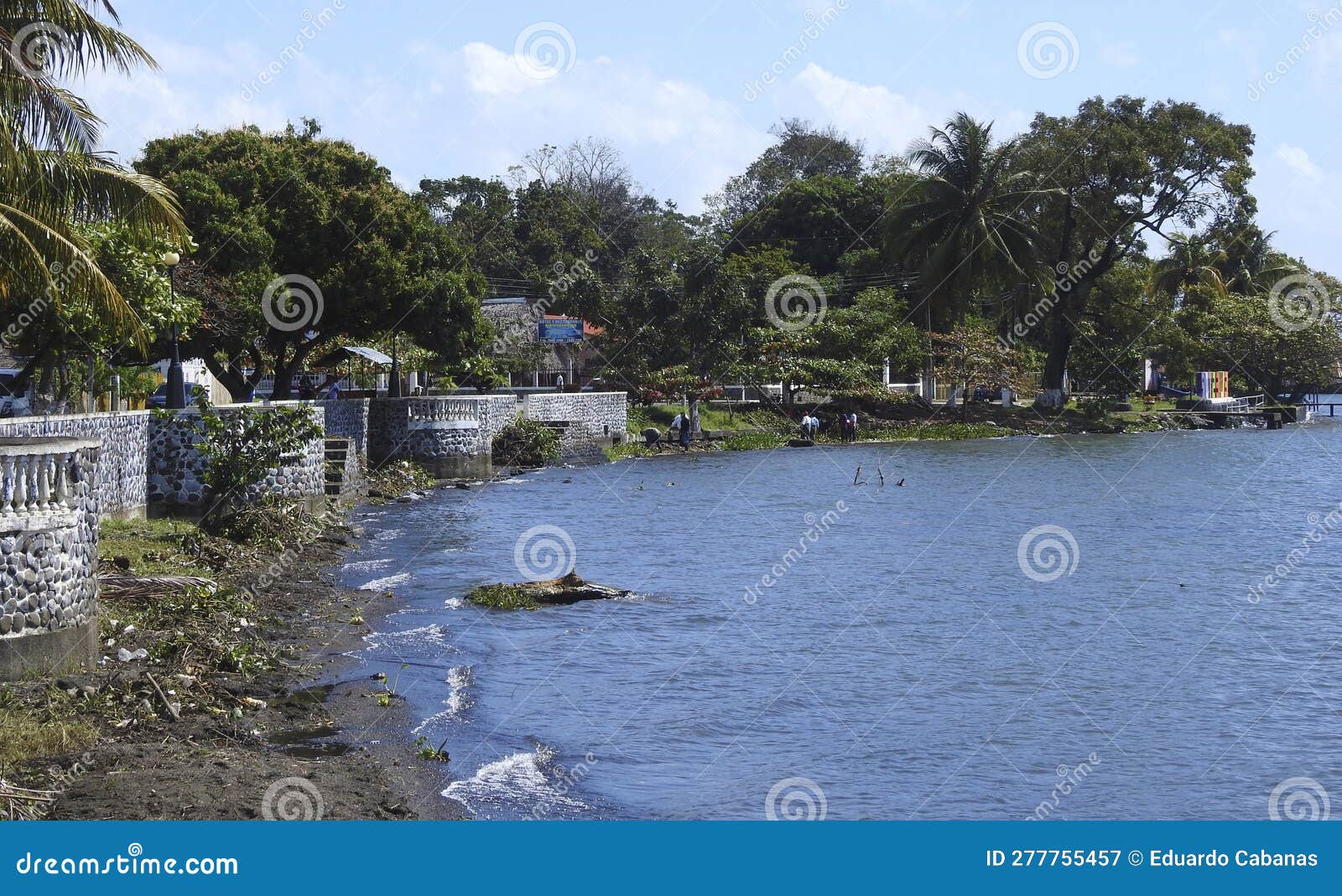 Population El Estor, Lake Izabal, Guatemala Stock Image - Image of tree ...
