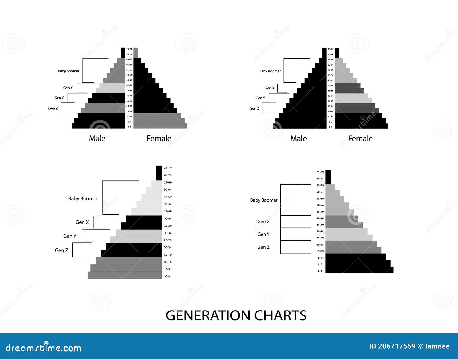 The Population Pyramids Graphs with 4 Generation Stock Vector ...