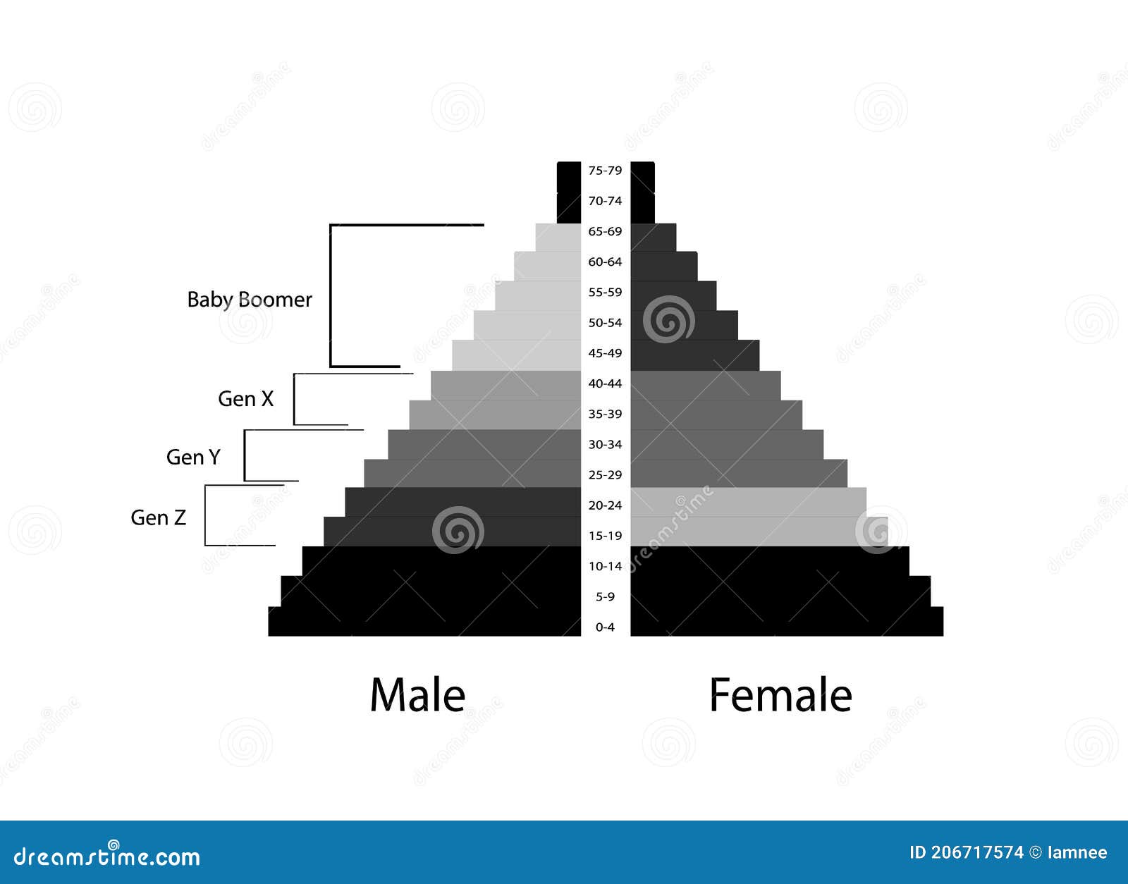 The Population Pyramids Graphs with 4 Generation Stock Vector ...