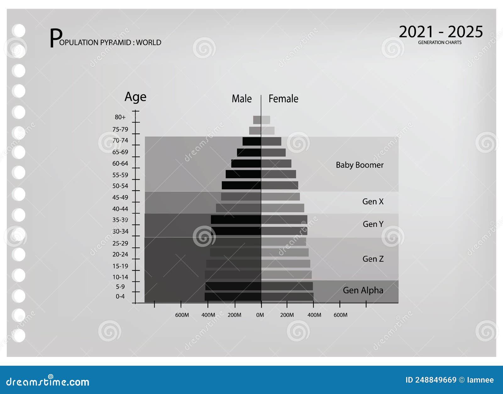 2021-2025 Population Pyramids Graphs with 5 Generation Stock Vector ...