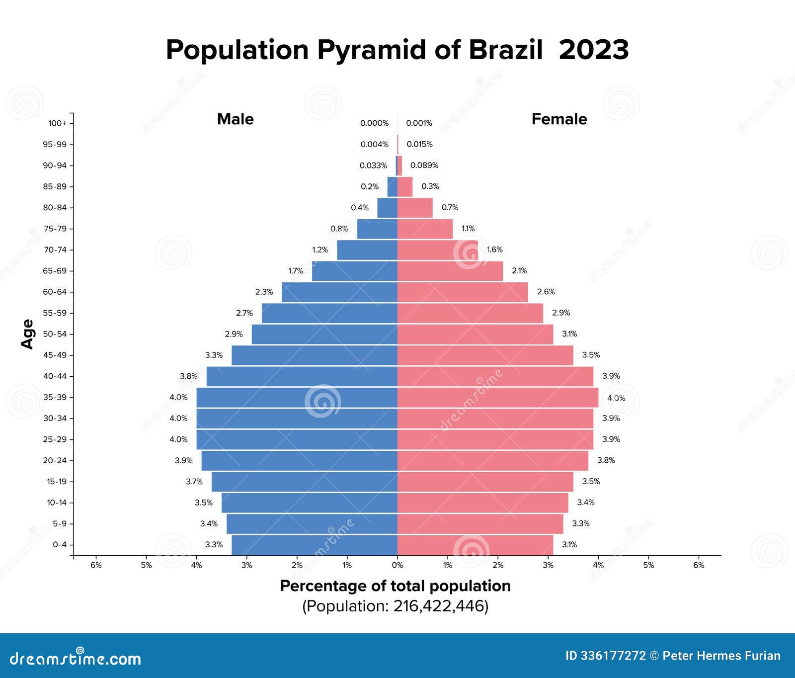 Population Pyramid Of Brazil 2023, Age Structure Diagram Vector ...