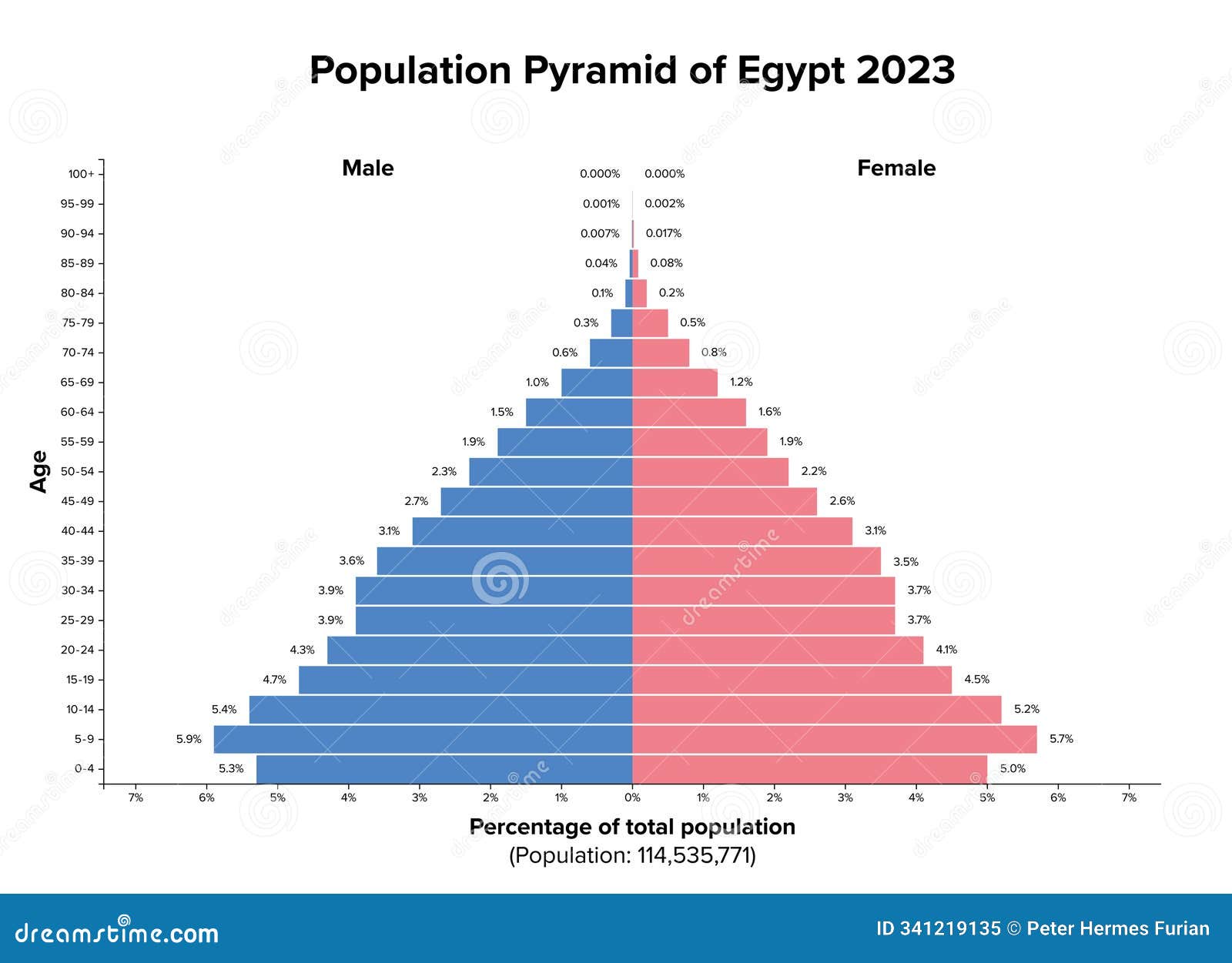 Population Pyramid Of Japan 2023, Age Structure Diagram Royalty-Free ...