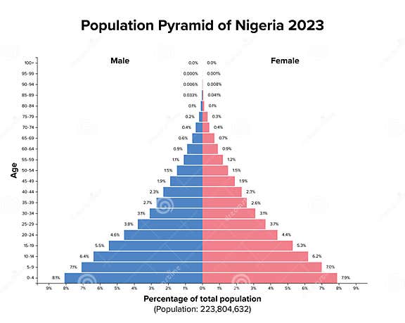 Population Pyramid of Nigeria 2023, Age Structure Diagram Stock Vector ...