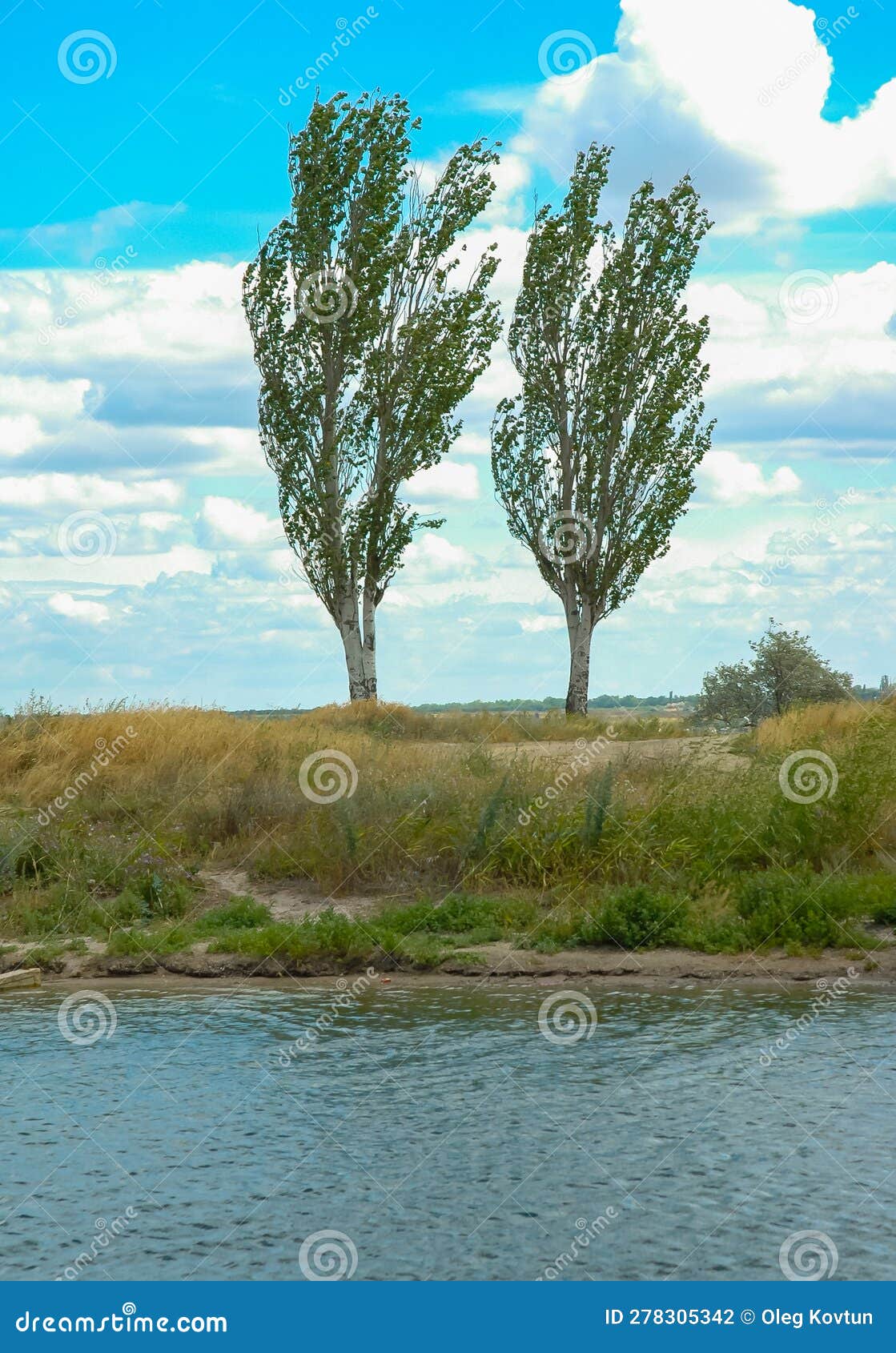 F Pyramidalis Stock Photos - Free & Royalty-Free Stock Photos from ...