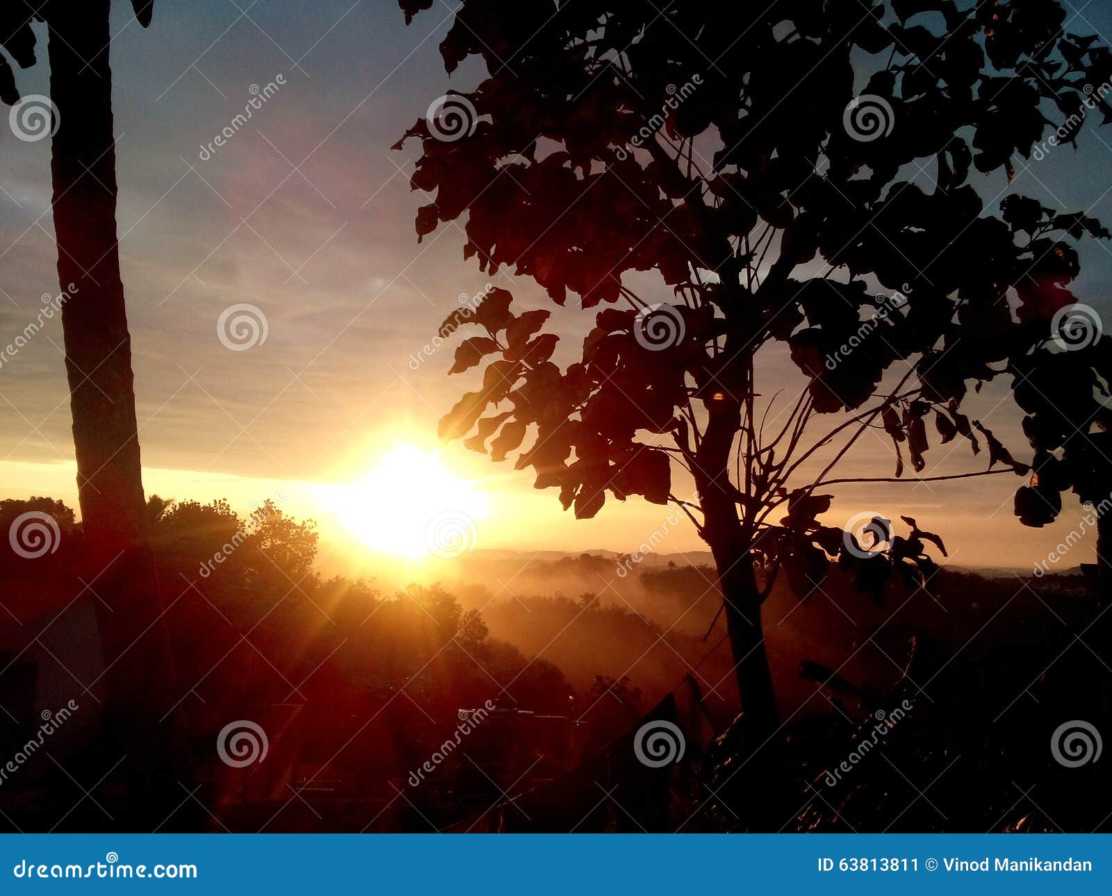 Por do sol bonito imagem de stock. Imagem de sunset, plantas - 63813811