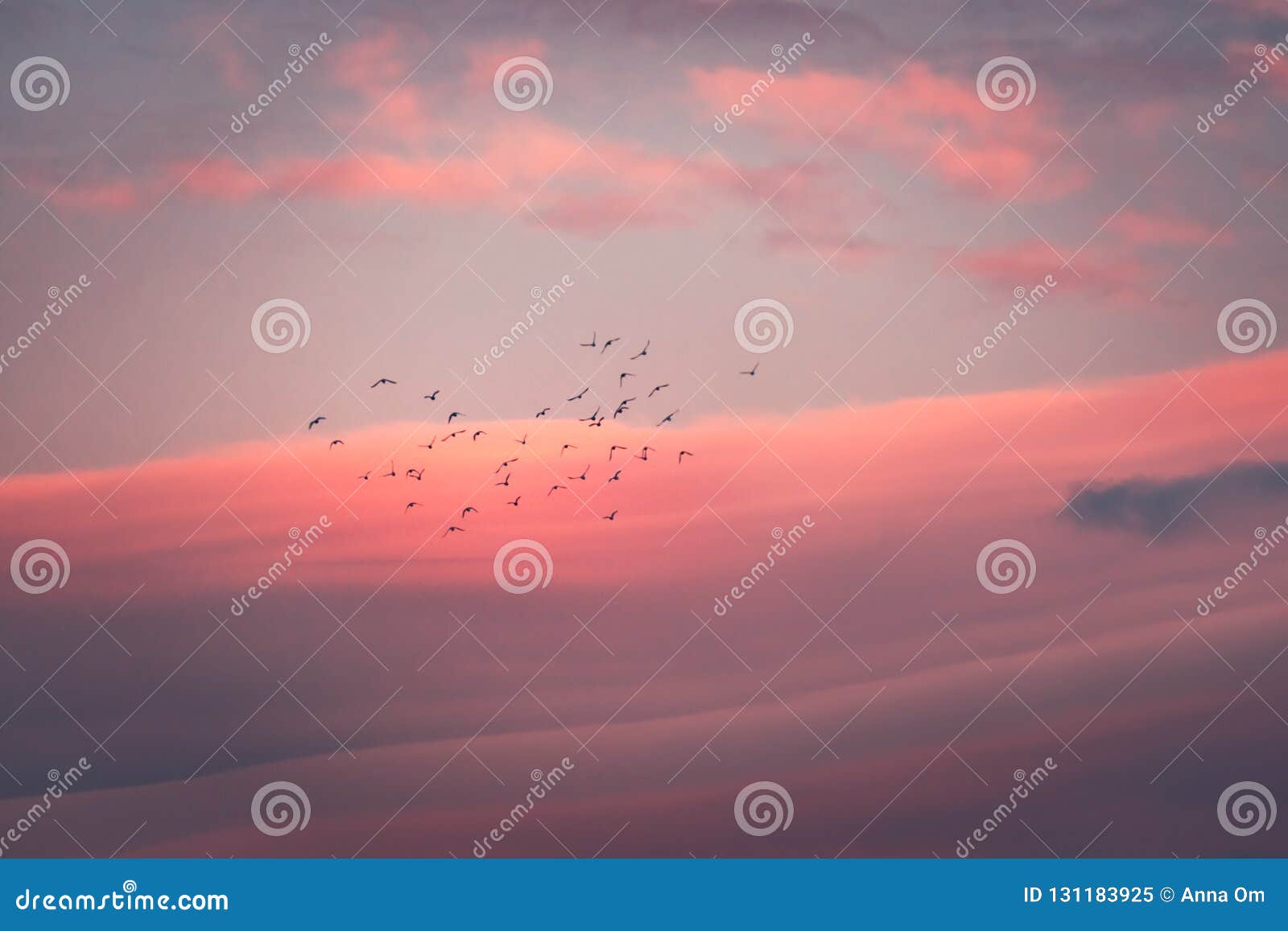 Por Do Sol Cor-de-rosa Bonito Imagem de Stock - Imagem de junto ...