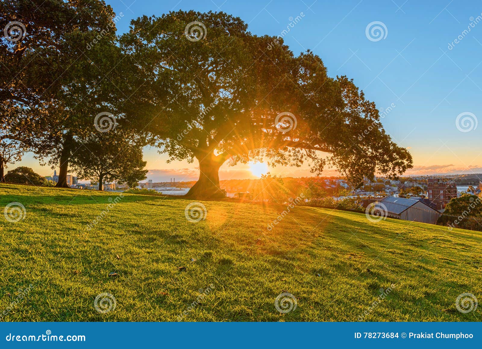Por do sol em Sydney imagem de stock editorial. Imagem de turistas ...