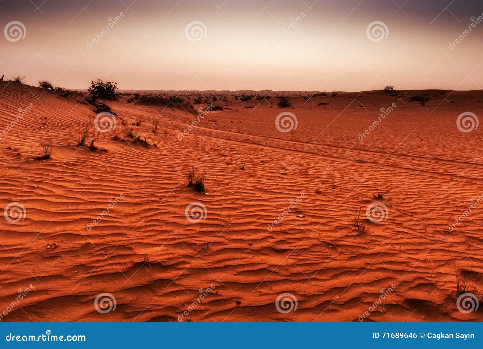 Por do sol no deserto foto de stock. Imagem de textura - 71689646