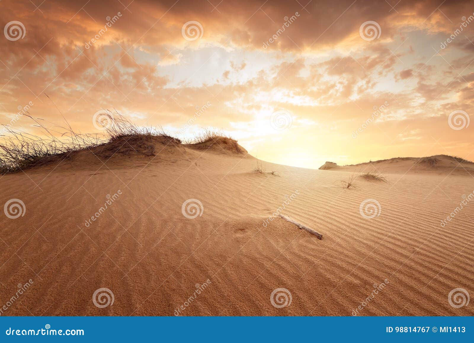 Por do sol no deserto imagem de stock. Imagem de céu - 98814767